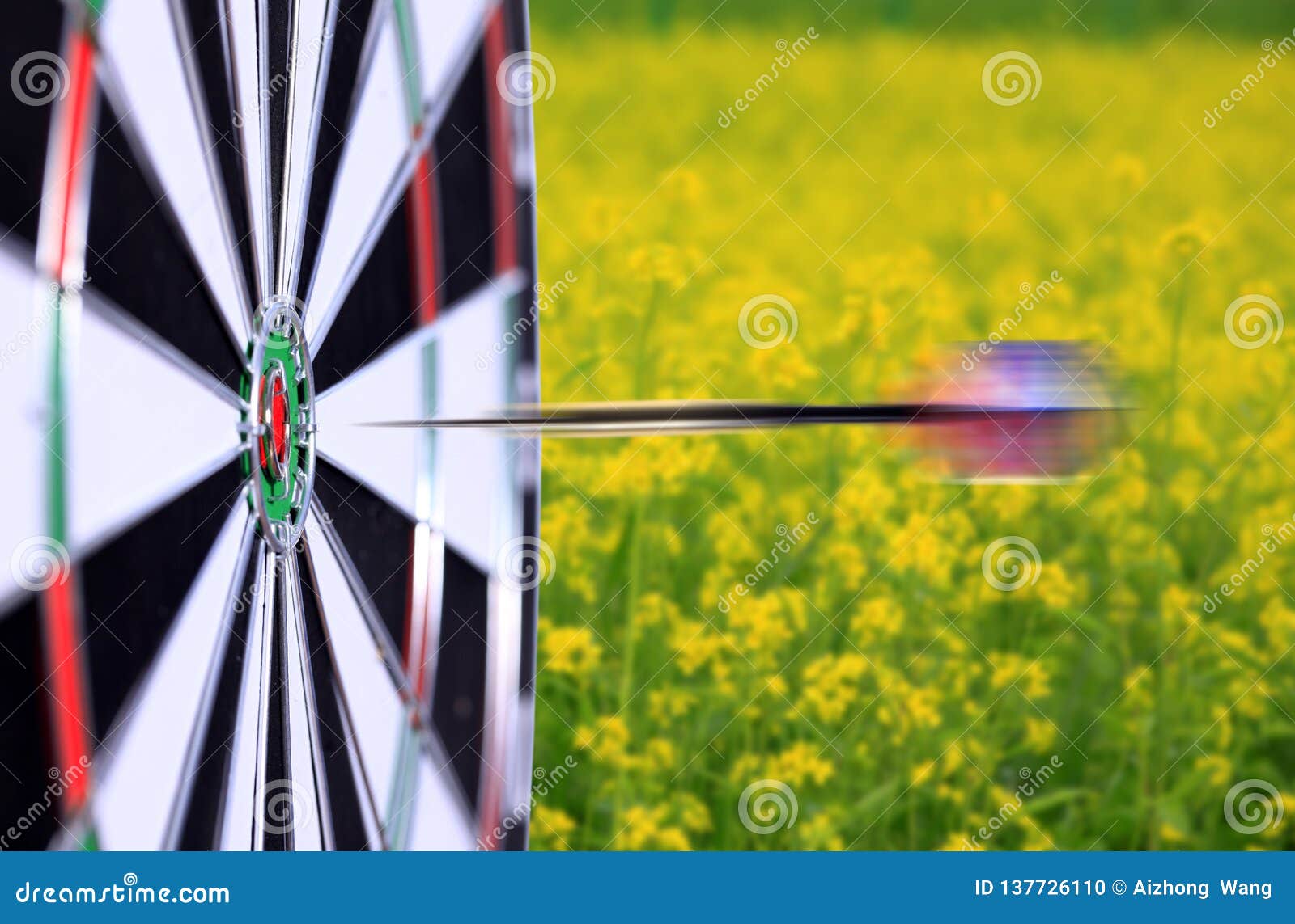 Les Dards Ont Frapp? Le Centre Photo stock - Image du boudine ...