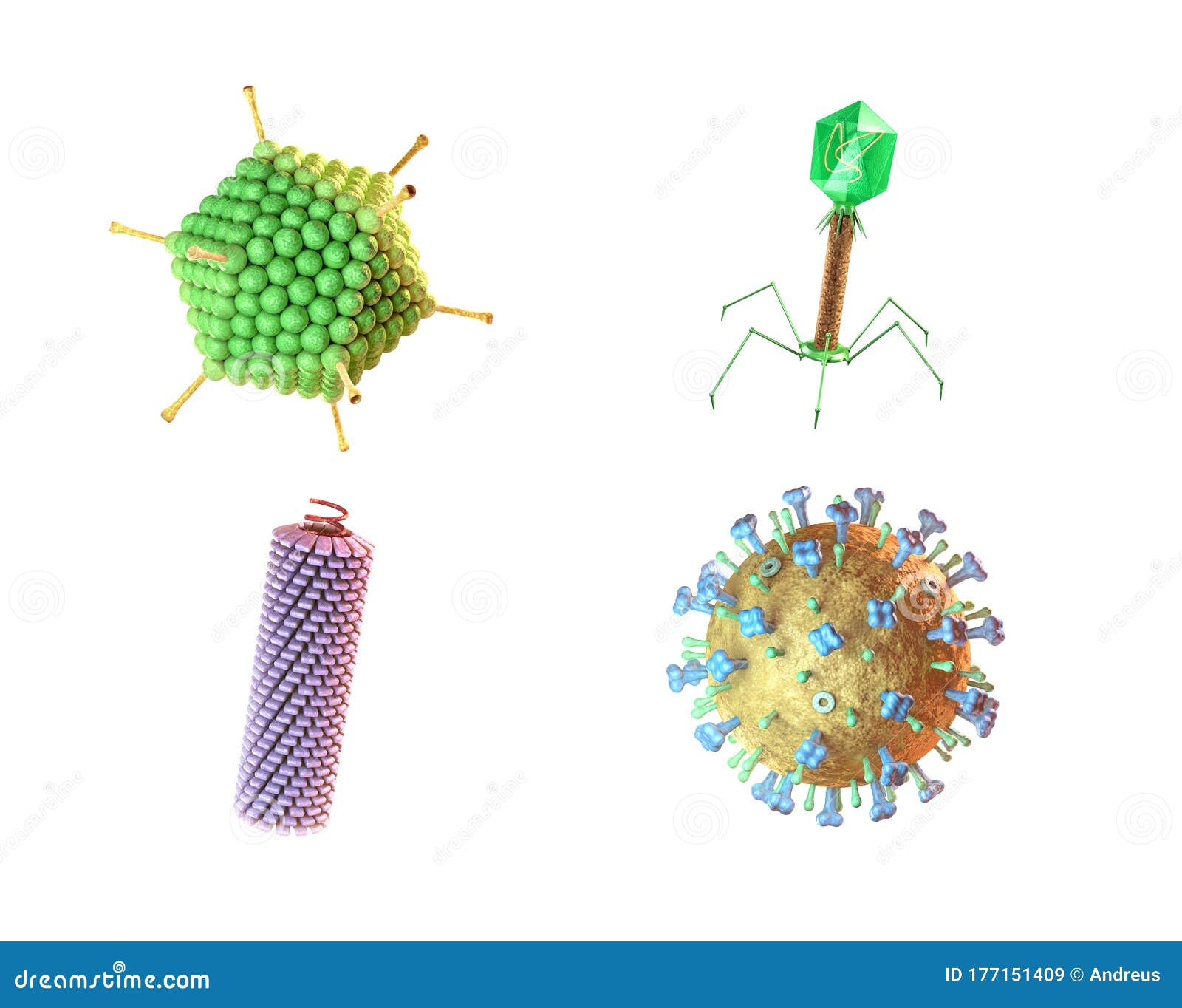 Les Différentes Formes De Virus Illustration Stock - Illustration du ...
