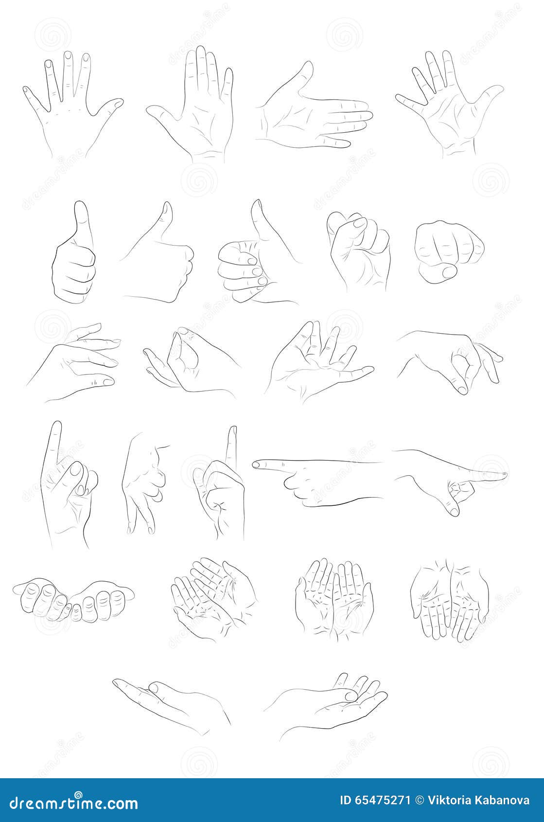 Les Différentes Positions Des Mains Illustration de Vecteur ...