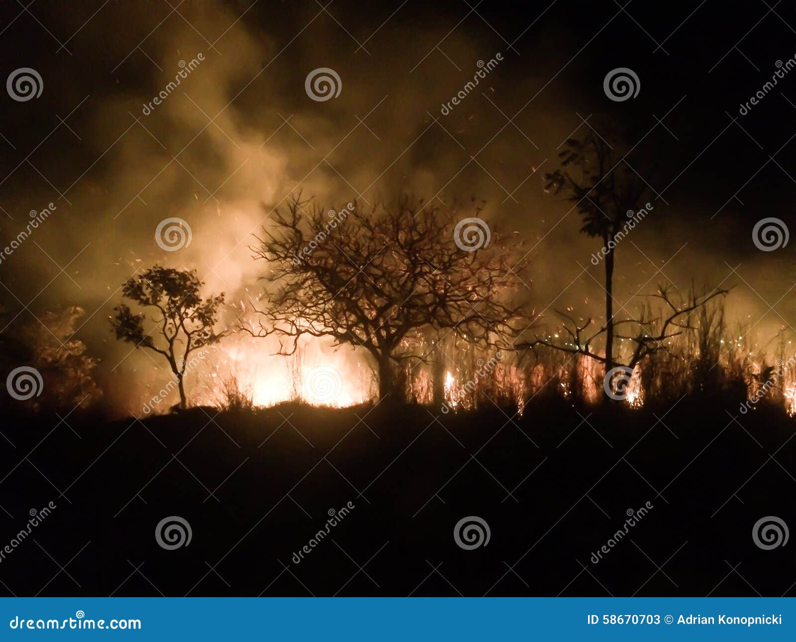 Les feux sauvages image stock. Image of brésil, sauvage - 58670703