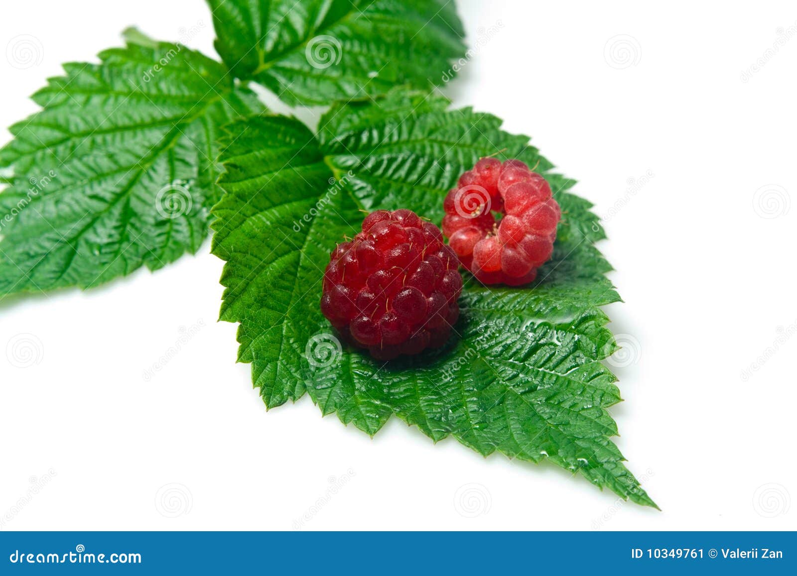 Les Framboises Couvrent Deux Image stock - Image du framboise, fond ...