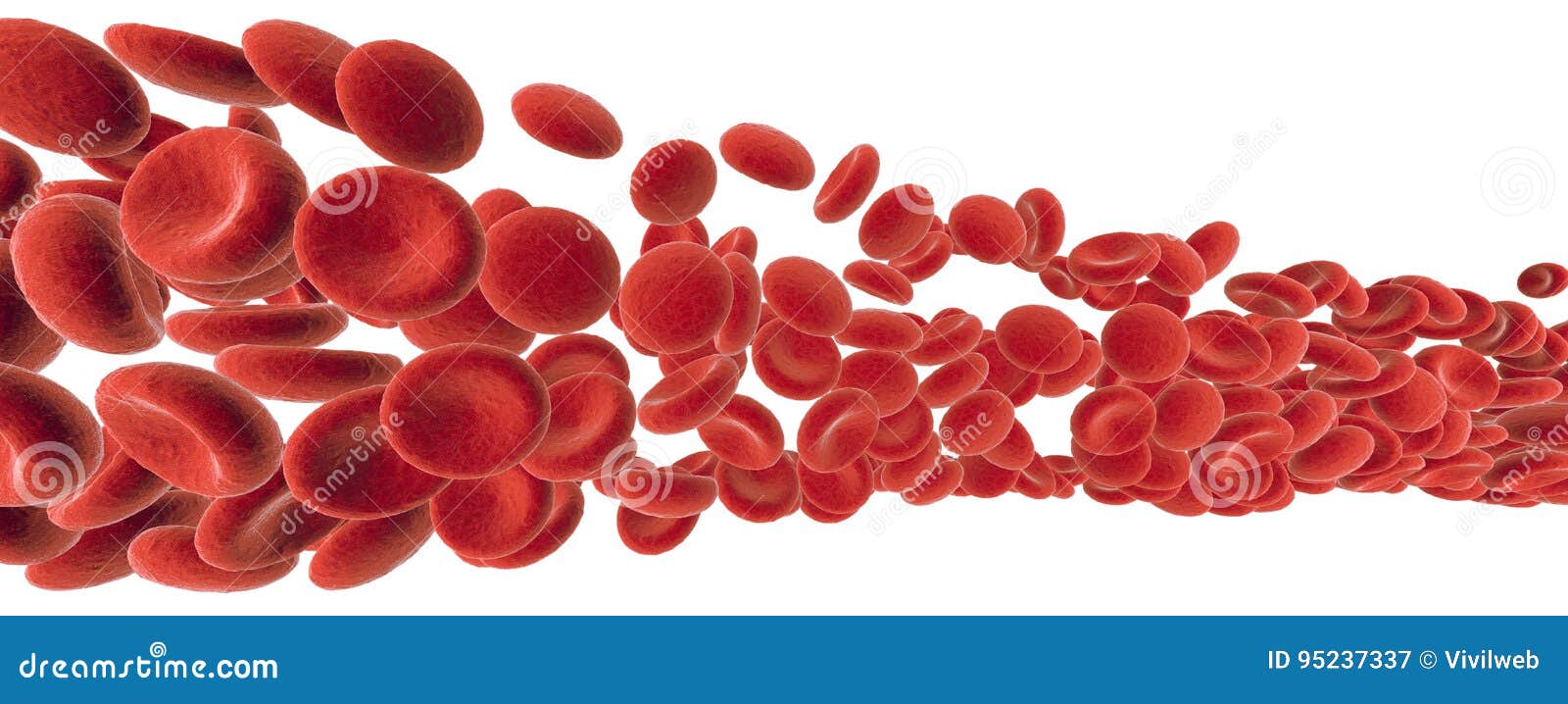 Les Globules Rouges Coulent Illustration Stock - Illustration du ...