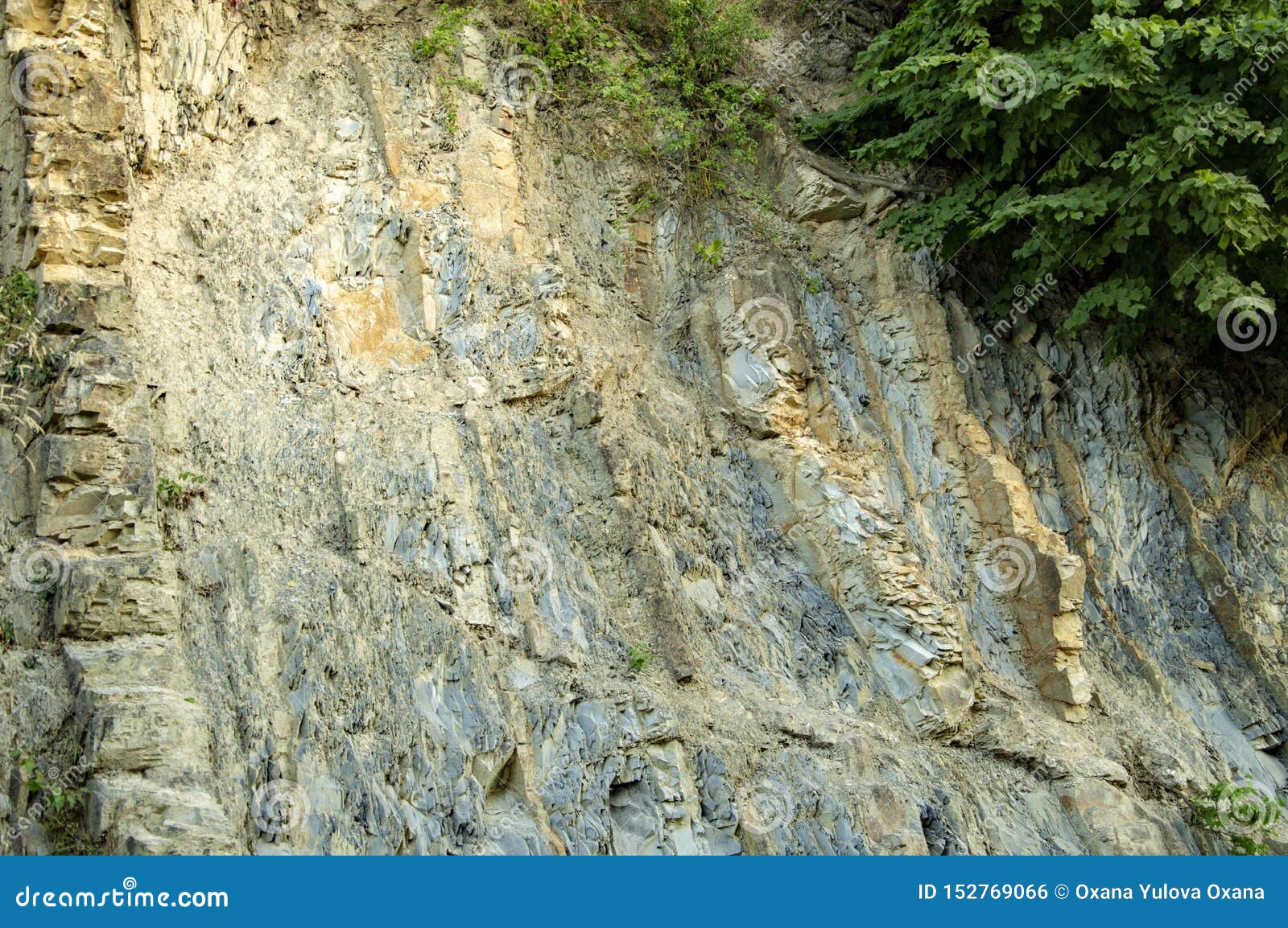 Les Parois Rocheuses Et Les Branches D'arbres Photo stock - Image du ...