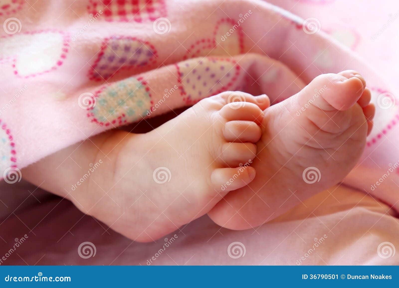 Les pieds mignons du bébé image stock. Image du pied - 36790501