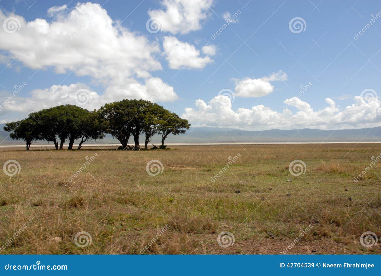 Les plaines de l'Afrique image stock. Image du endless - 42704539