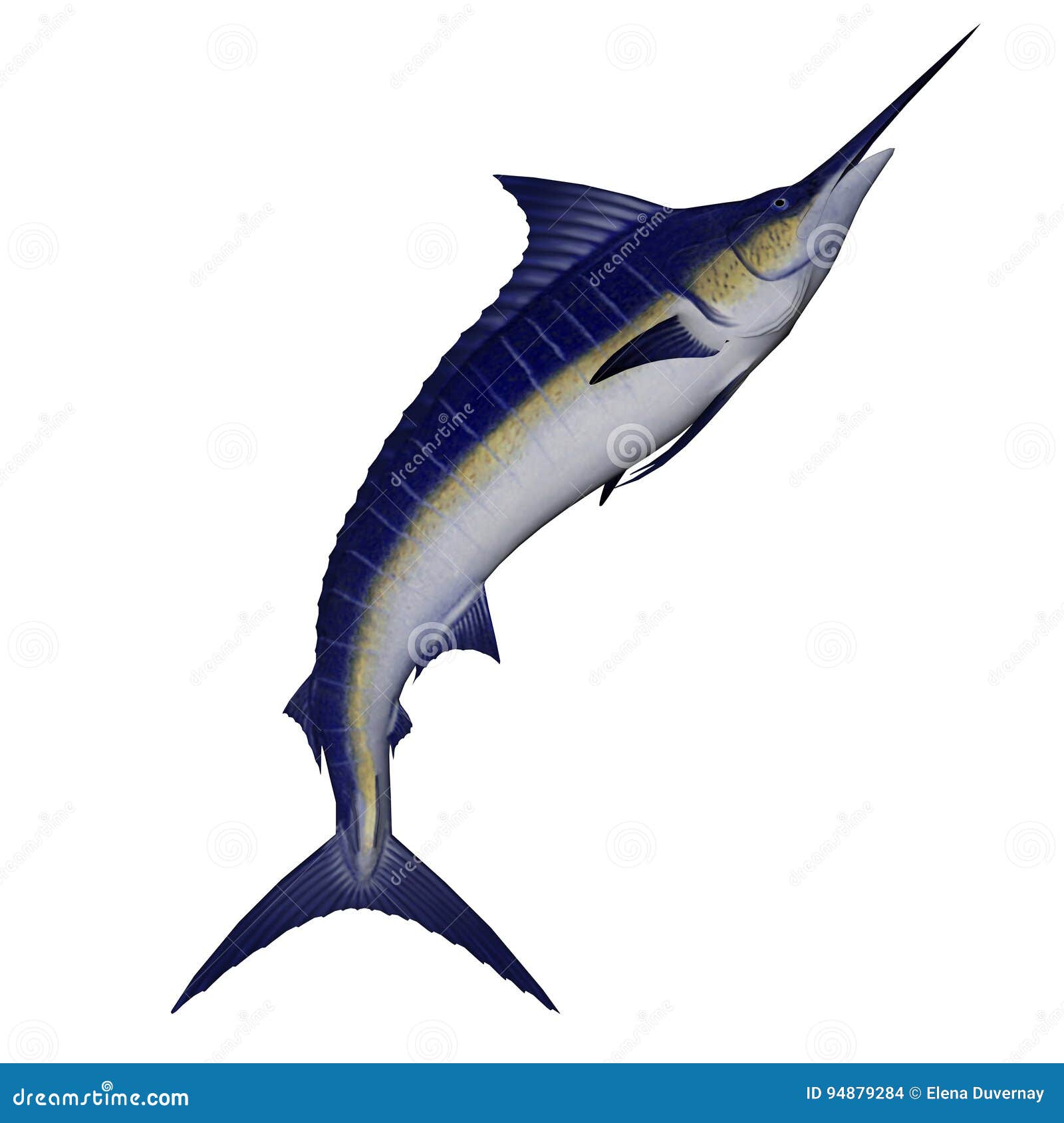 Les Poissons De Marlin Sautent - 3D Rendent Illustration Stock ...
