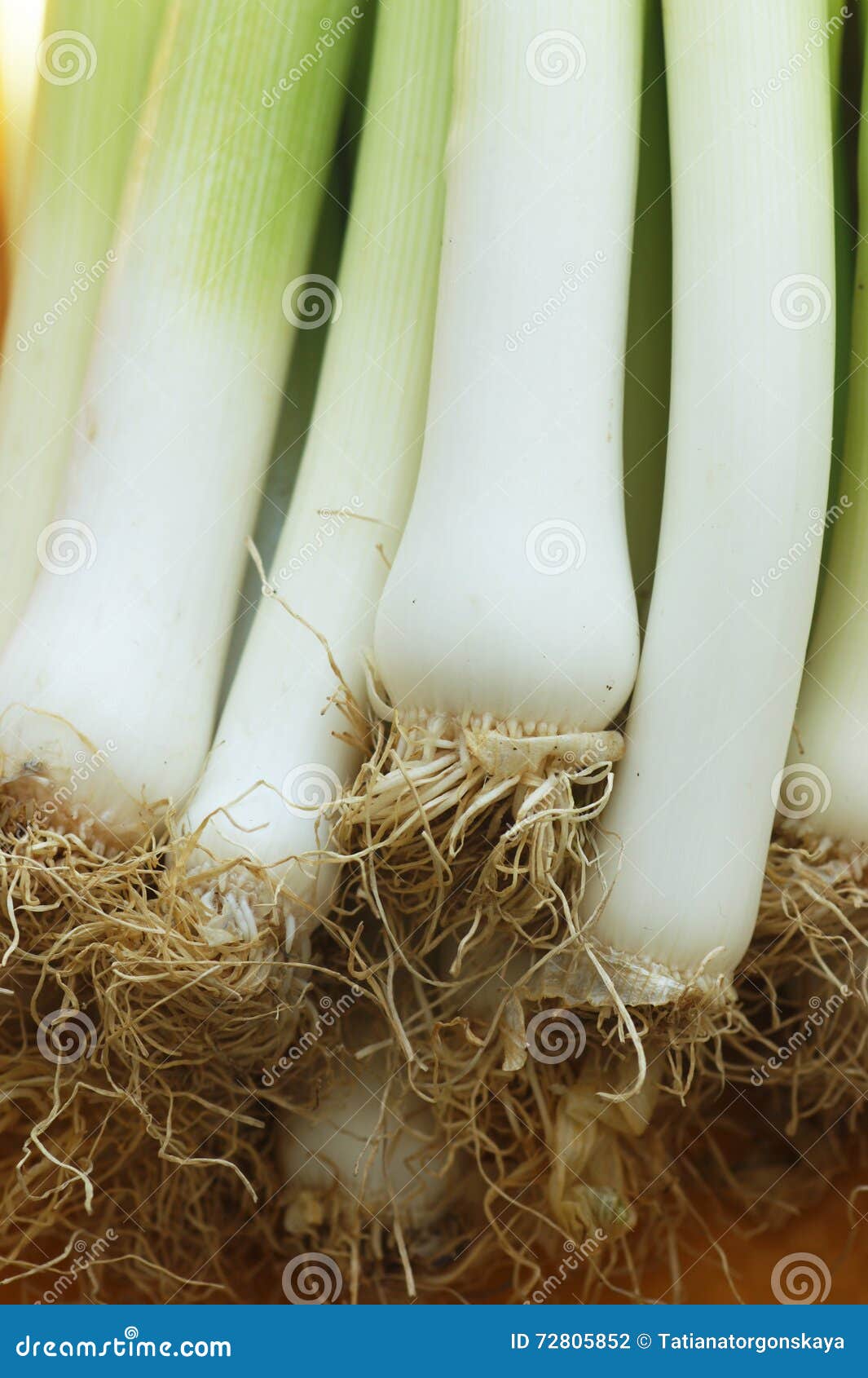 Les tiges des poireaux photo stock. Image du foodstuffs - 72805852
