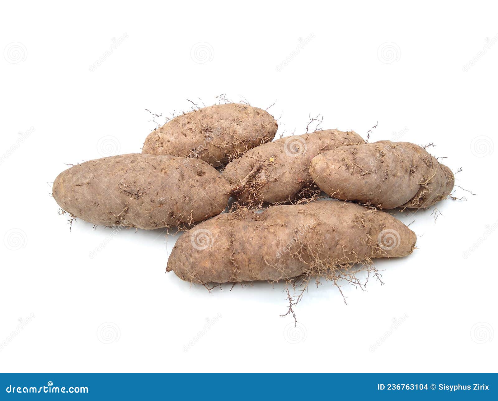 Lesser Yam (Dioscorea Esculenta) Isolated on White Background Stock ...