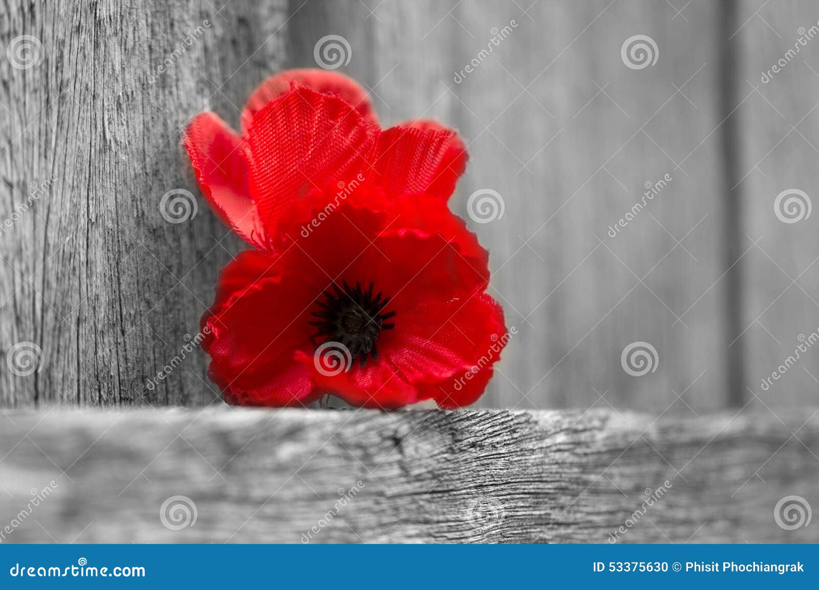 Lest we Forget stock photo. Image of honour, service - 53375630
