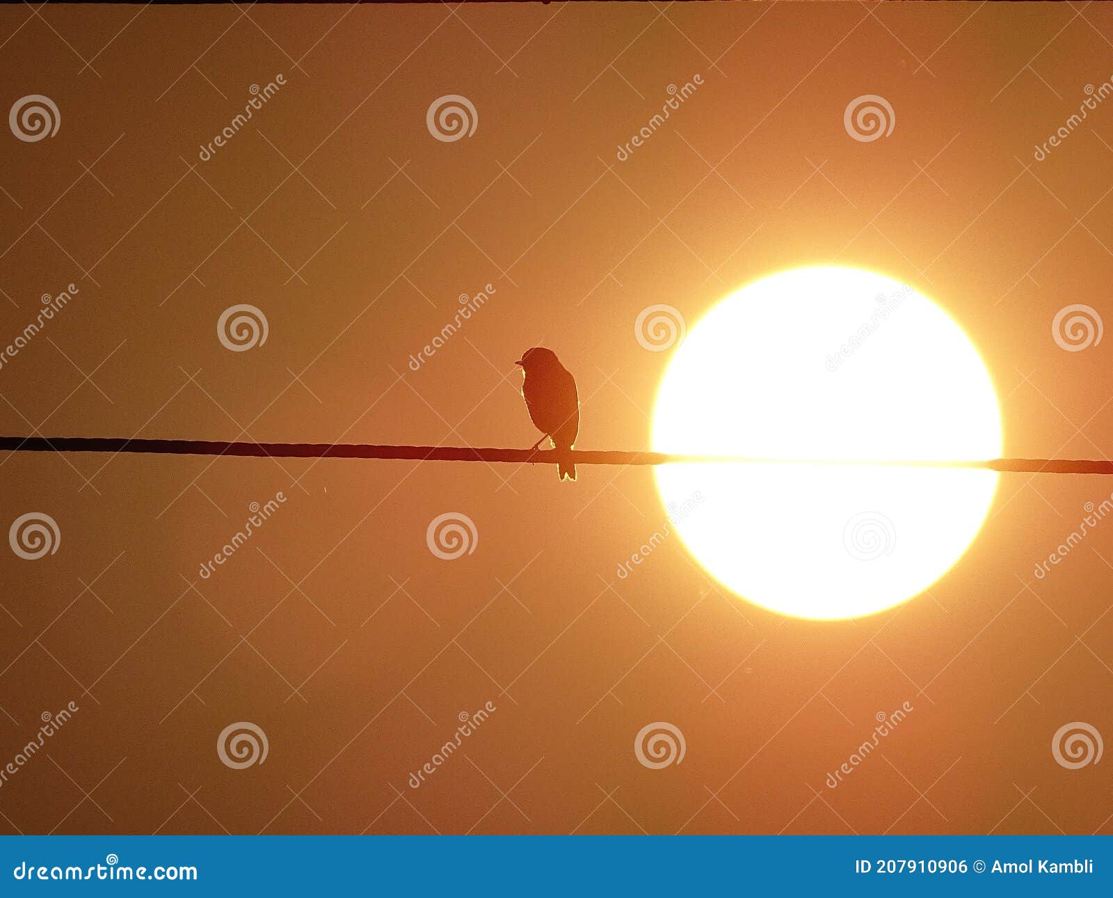 Let it be light stock photo. Image of sunrise, yellow - 207910906