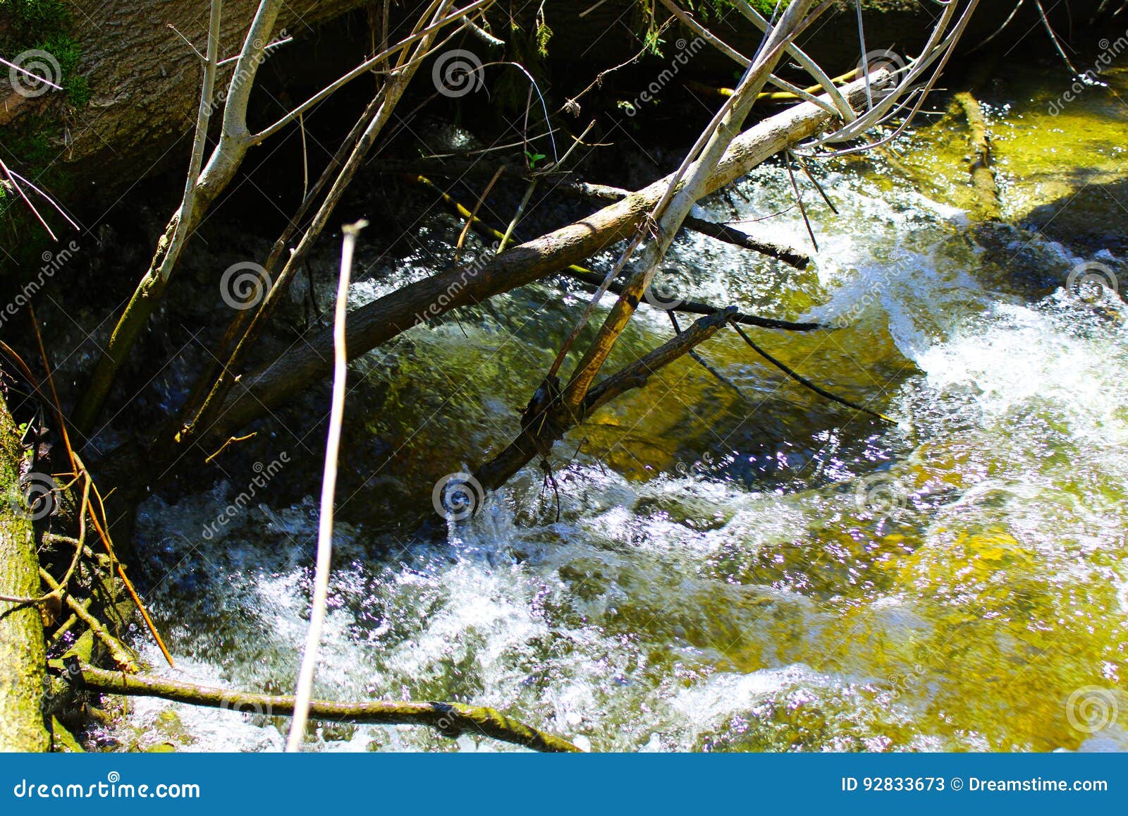 Let Everything Flow Like Water Stock Image - Image of beauty, ducks ...