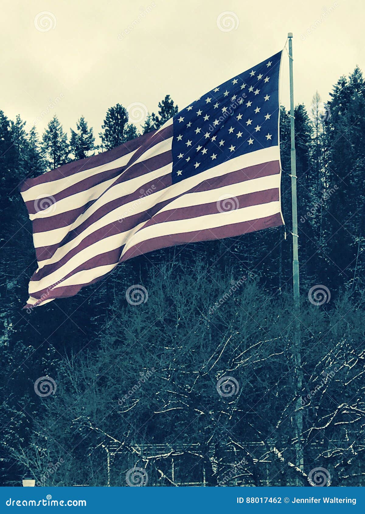 Let freedom ring stock photo. Image of flag, beautiful - 88017462
