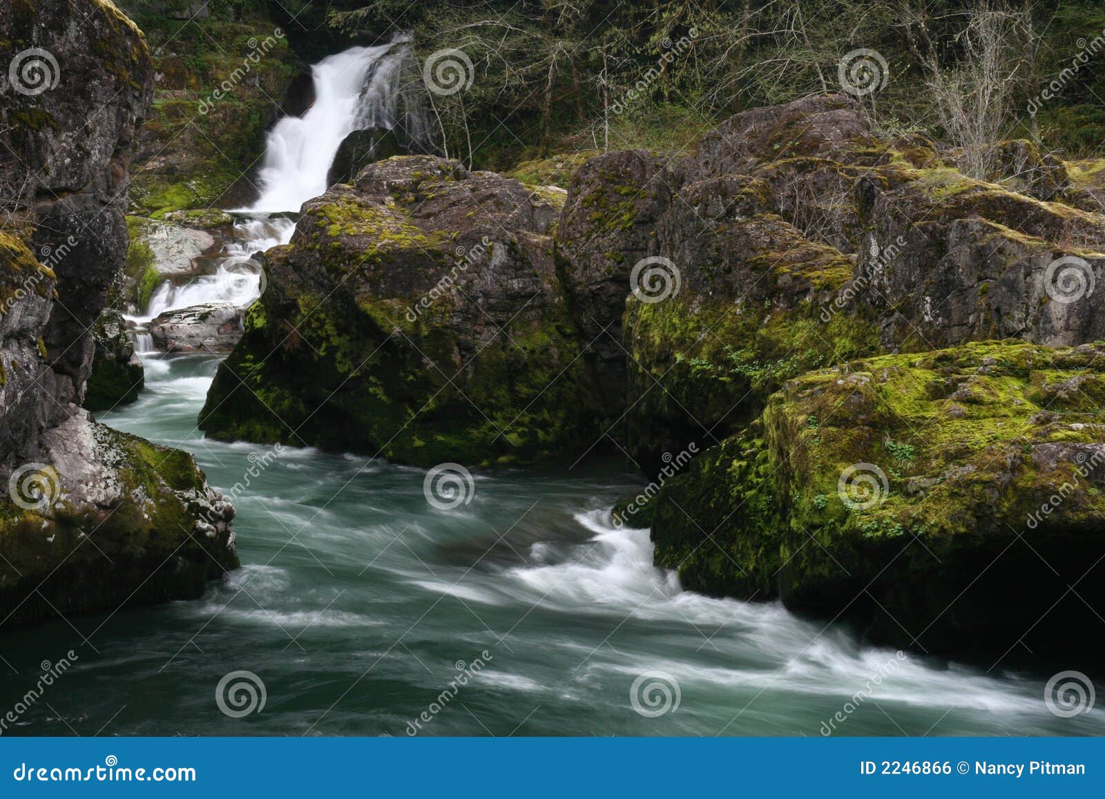 Let the River Flow stock photo. Image of waterfall, forests - 2246866