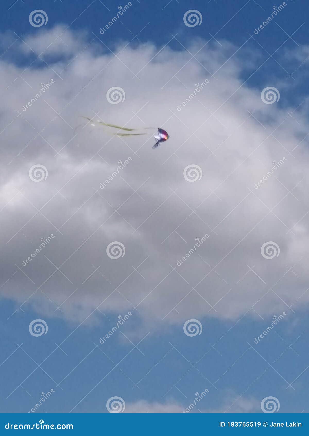 Let& X27;s Go Fly a Kite Stock Image - Image of airshow, aviation ...