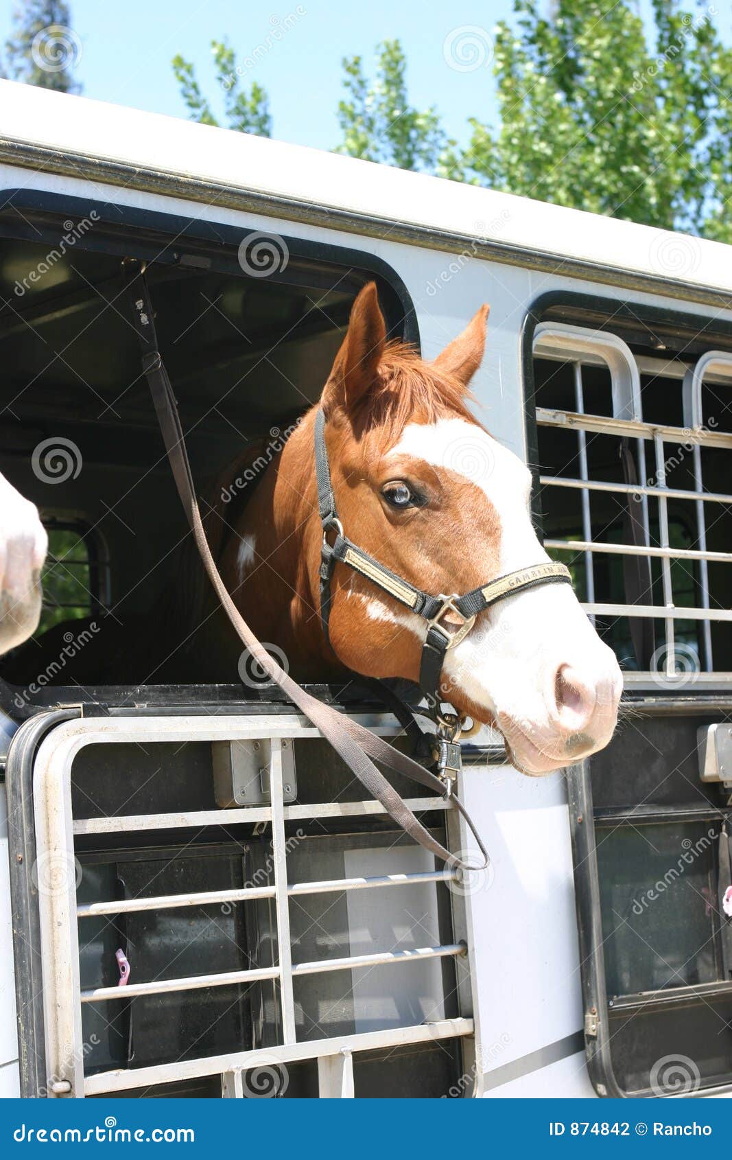 Let s go for a ride! stock photo. Image of travel, showing - 874842