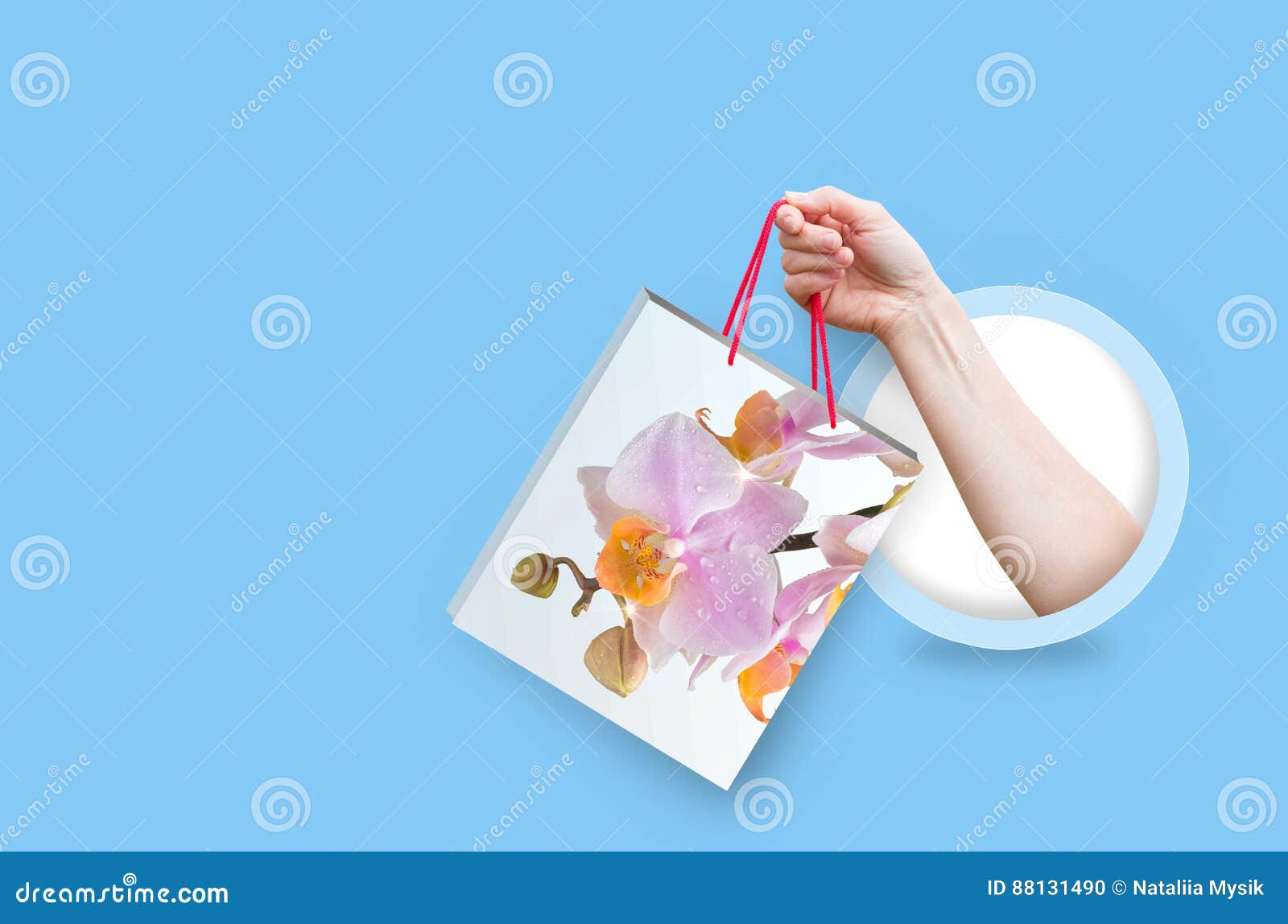 Let`s go spring shopping. stock photo. Image of brown - 88131490
