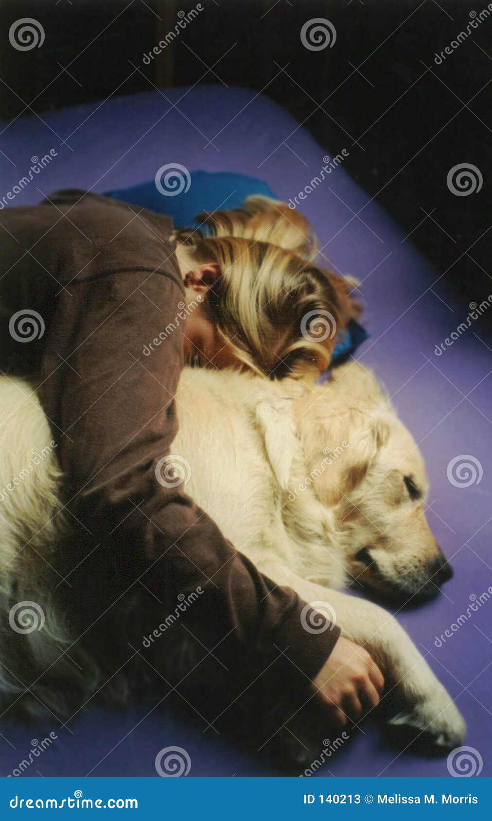 Let Sleeping Dogs Cuddle stock image. Image of fuzzy, love - 140213
