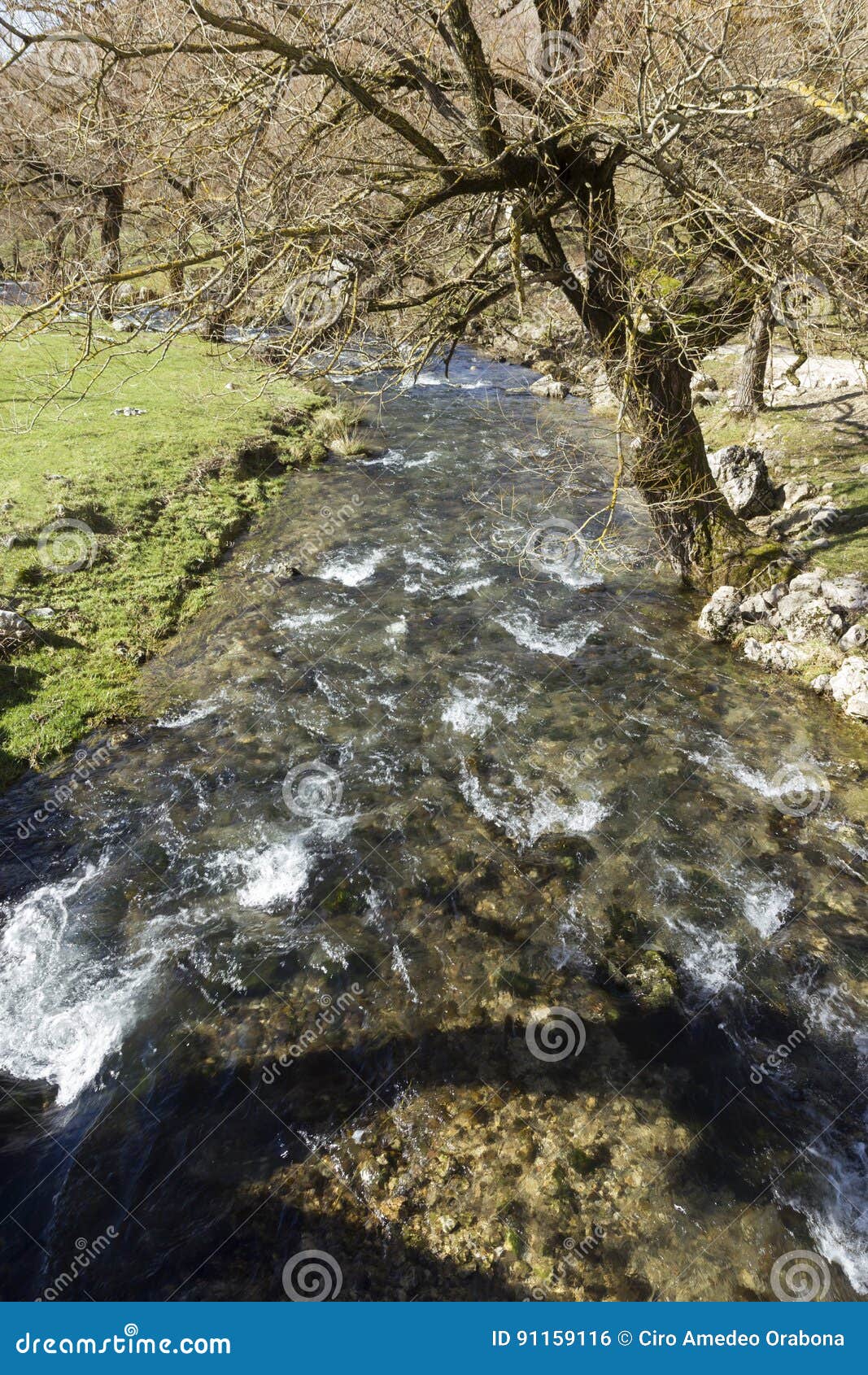 Lete river stock photo. Image of forest, water, nature - 91159116