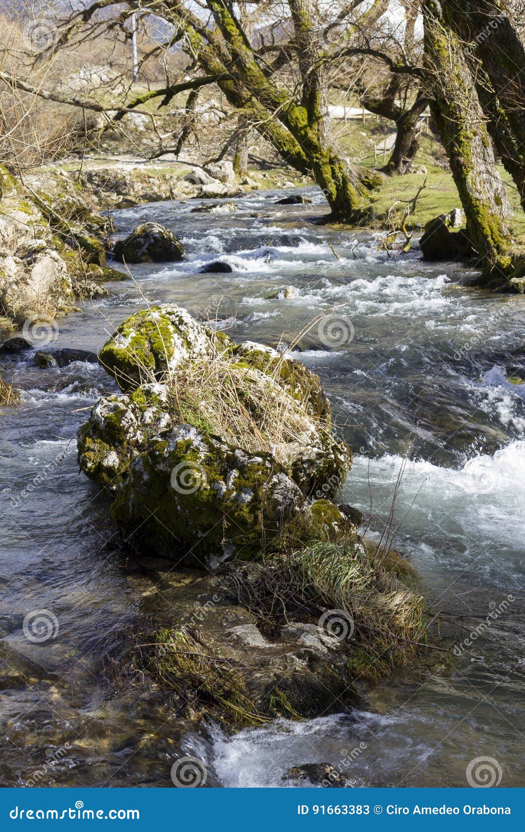 Lete river stock image. Image of bright, forest, scene - 91663383