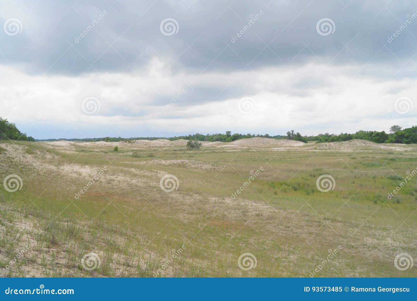 Letea Forest and White Sand Dunes, Romania Stock Image - Image of dune ...
