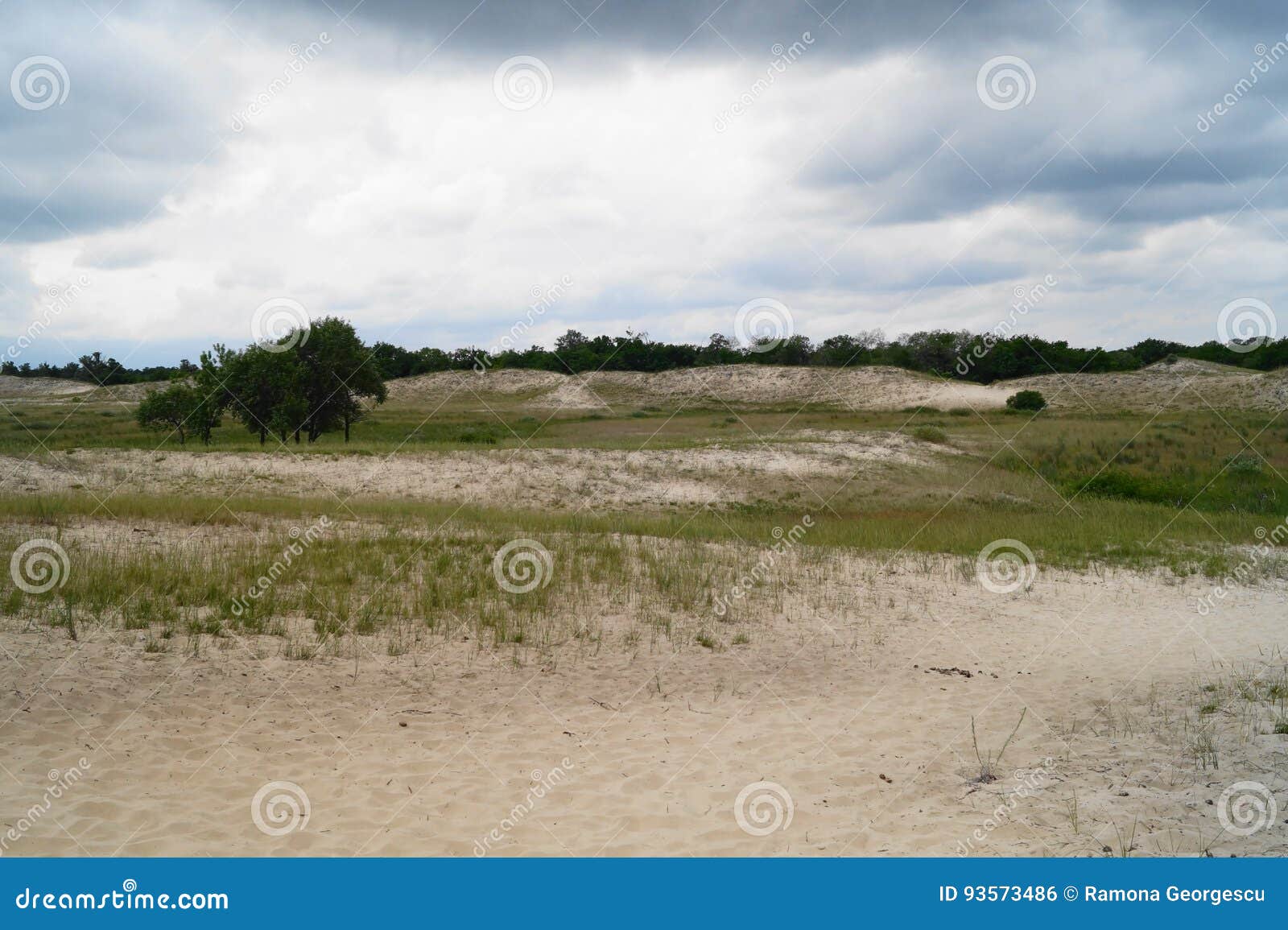 Letea Forest and White Sand Dunes, Romania Stock Photo - Image of ...