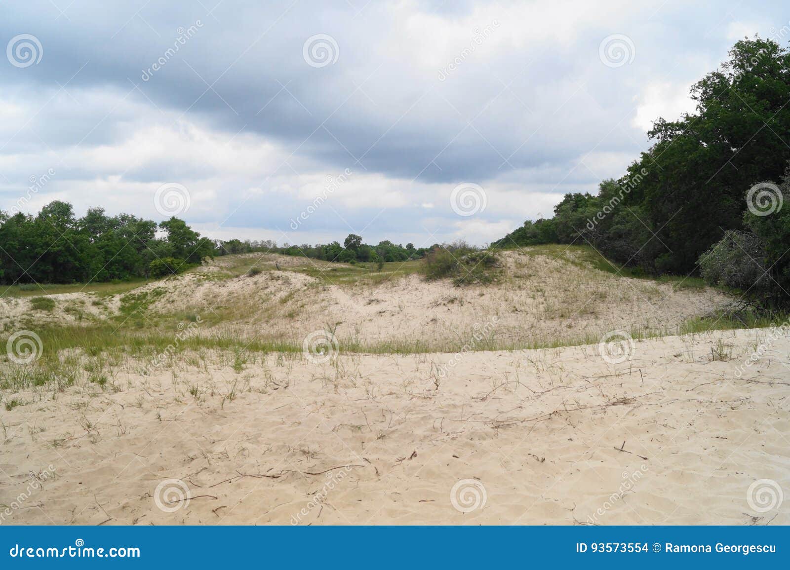 Letea Forest and White Sand Dunes, Romania Stock Photo - Image of ...