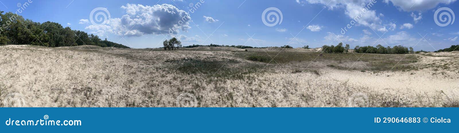 Sand Dunes Panorama in Letea Forest, Romania Stock Image - Image of ...