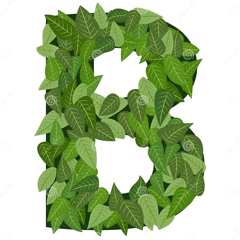 Leter B with leafs stock vector. Illustration of colorful - 11768757
