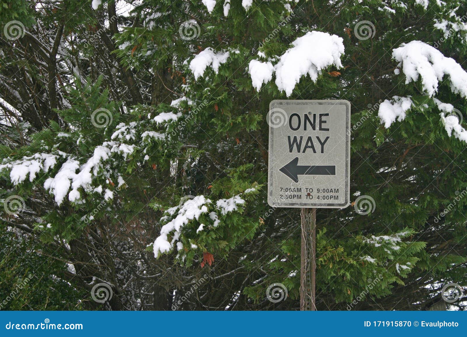 Letf-pointing One-way Sign and Snow Stock Photo - Image of travel ...