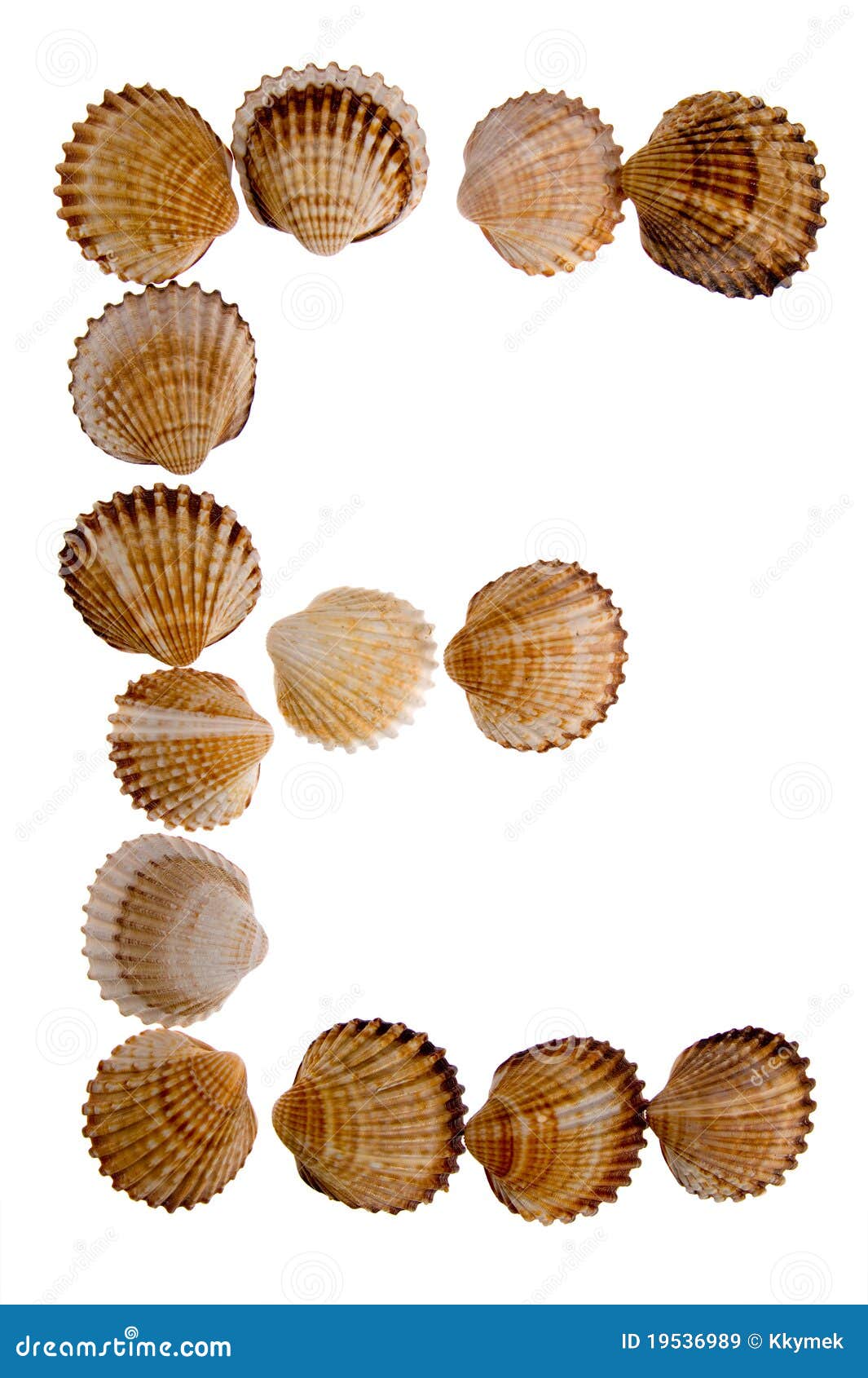 Letra aislada E del shell imagen de archivo. Imagen de conjurar - 19536989