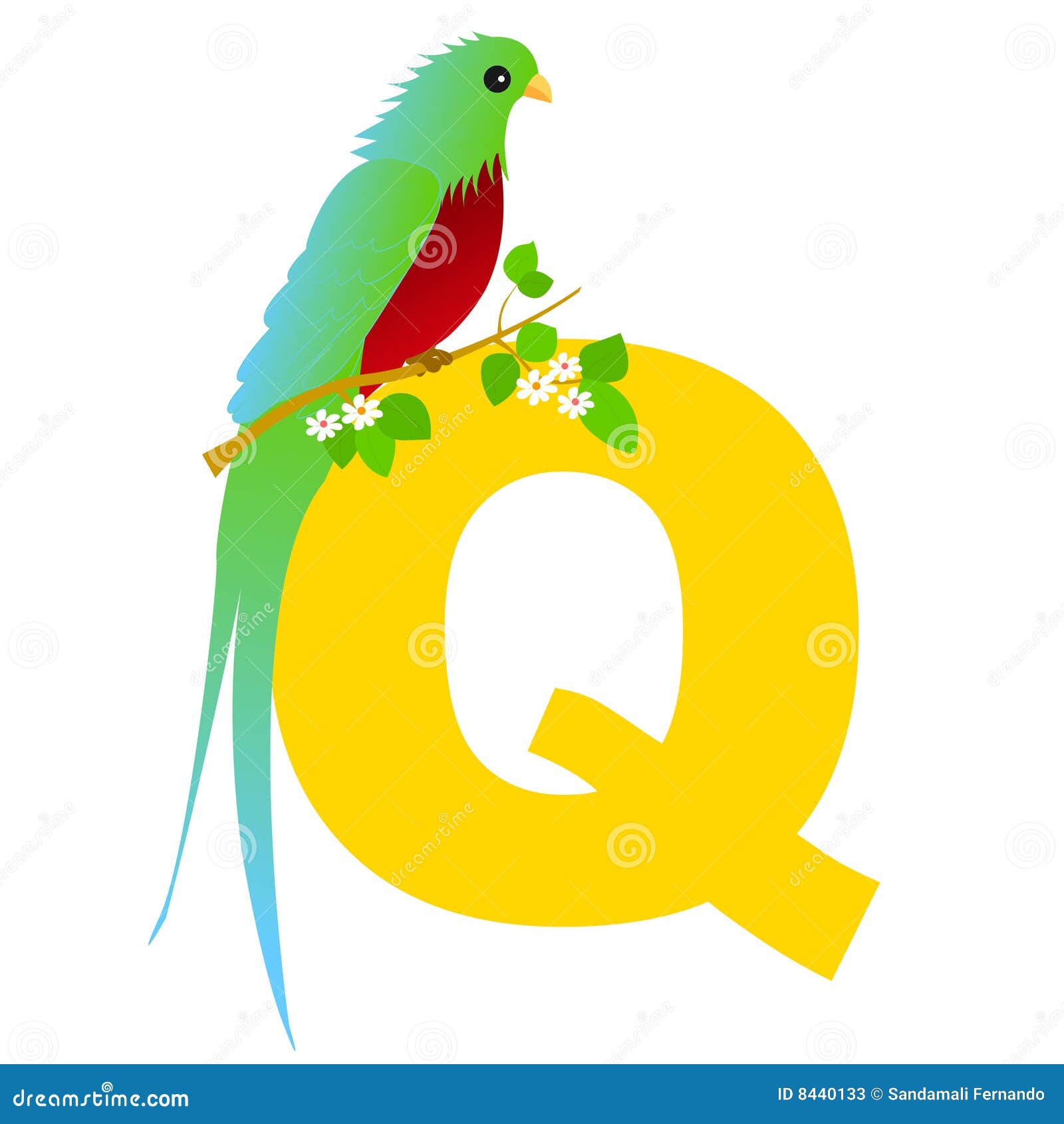 Letra Animal Do Alfabeto - Q Fotos de Stock - Imagem: 8440133