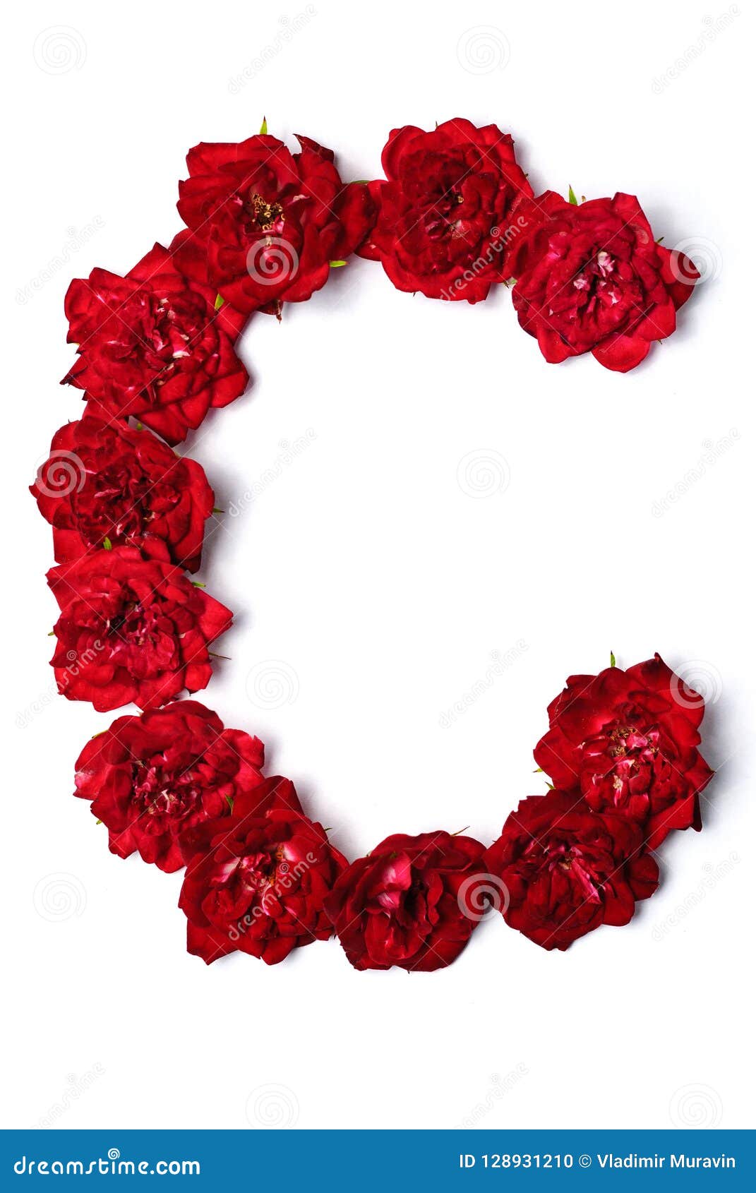 Letra C Das Flores Da Rosa Do Vermelho Foto de Stock - Imagem de fundo ...