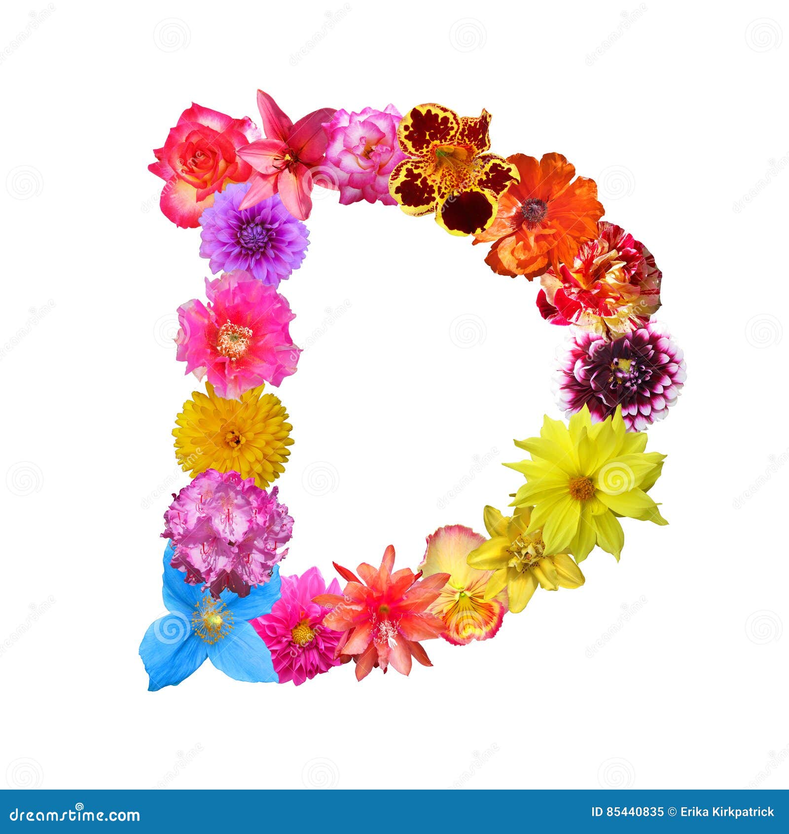 Letra D de las flores stock de ilustración. Ilustración de hoja - 85440835