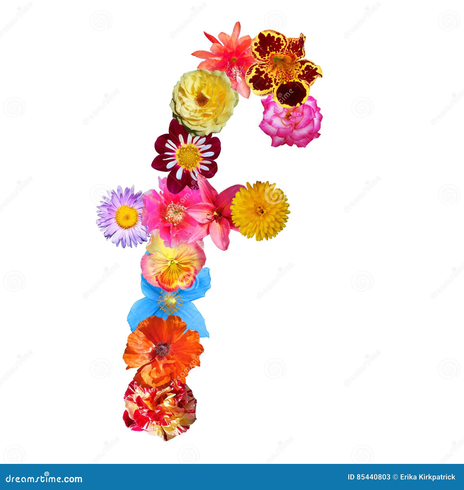 Letra F das flores ilustração stock. Ilustração de carta - 85440803
