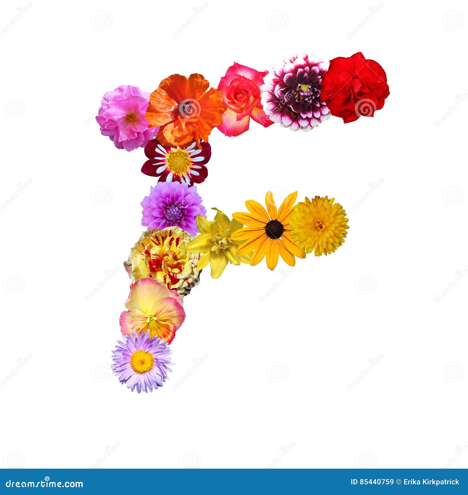 Letra F de las flores stock de ilustración. Ilustración de color - 85440759