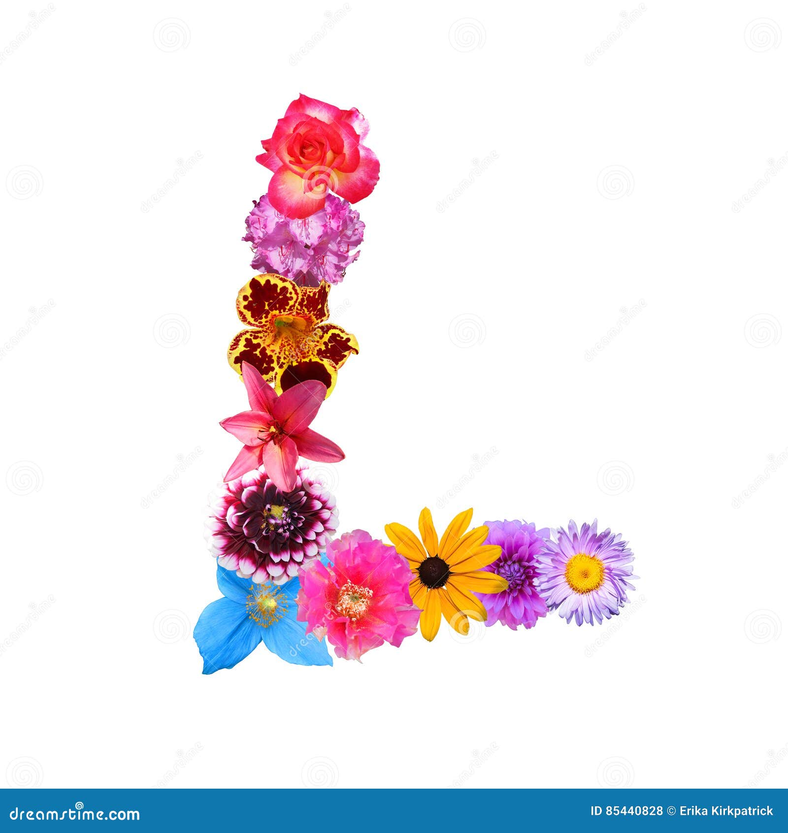 Letra L de las flores stock de ilustración. Ilustración de fondo - 85440828