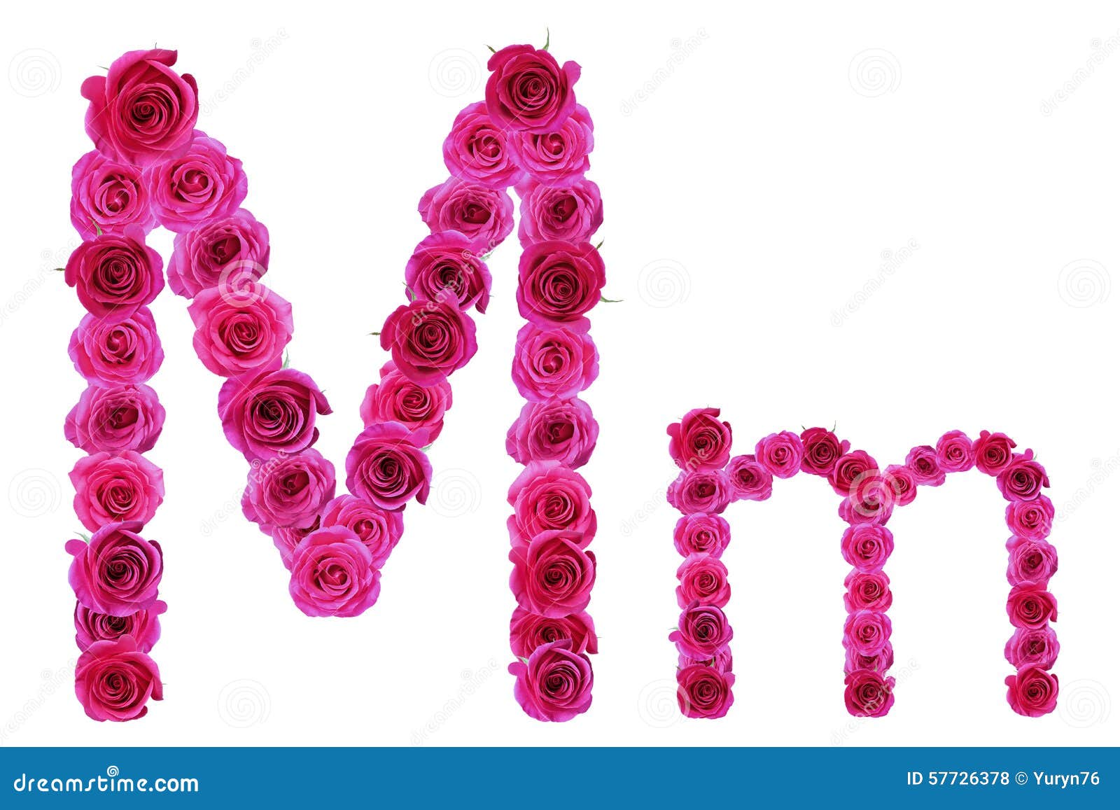 Letra m de rosas foto de archivo. Imagen de alfabeto - 57726378
