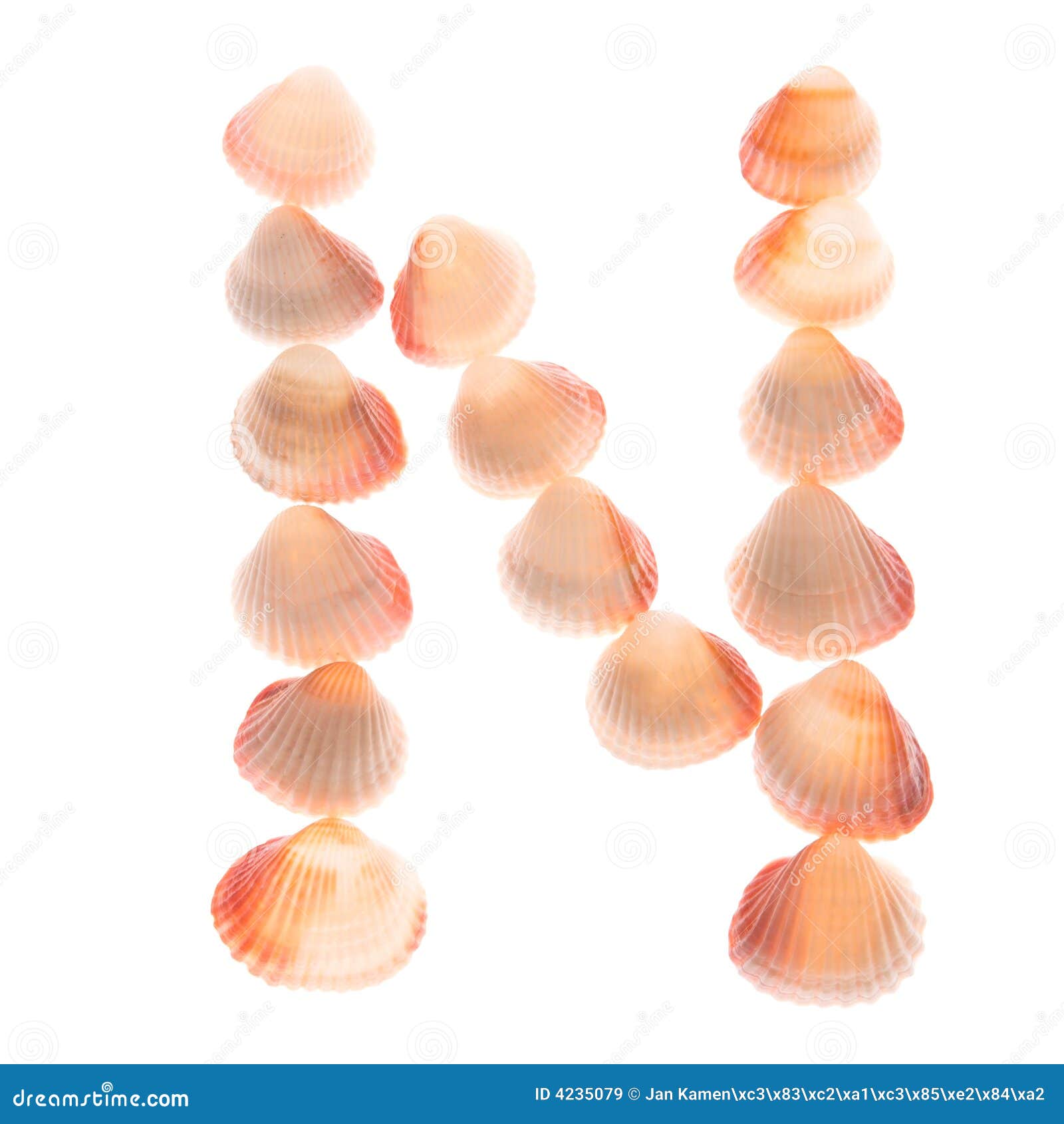 Letra N De Shell Imagen. Imagen: 4235079