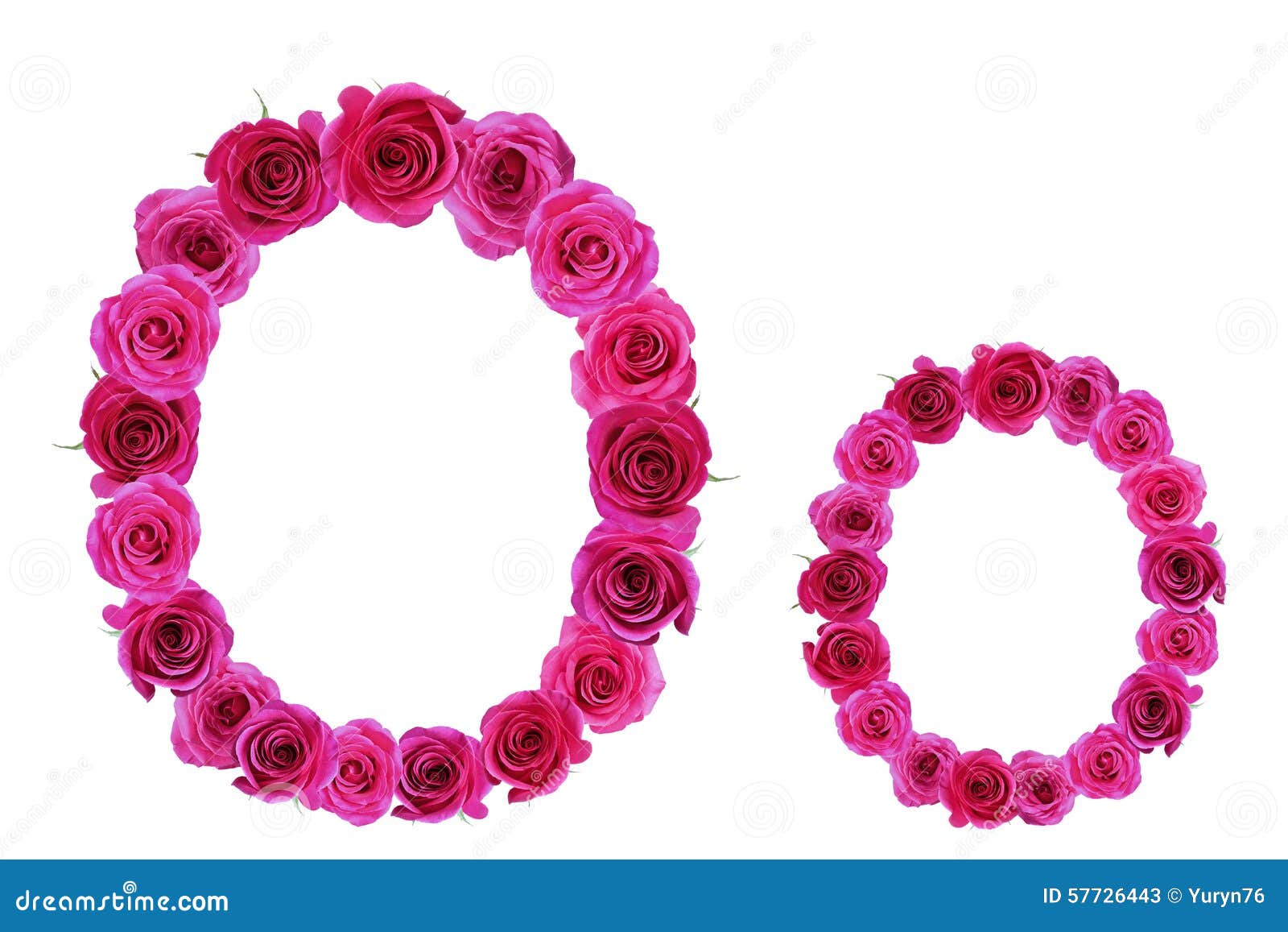 Letra o de rosas imagen de archivo. Imagen de floral - 57726443