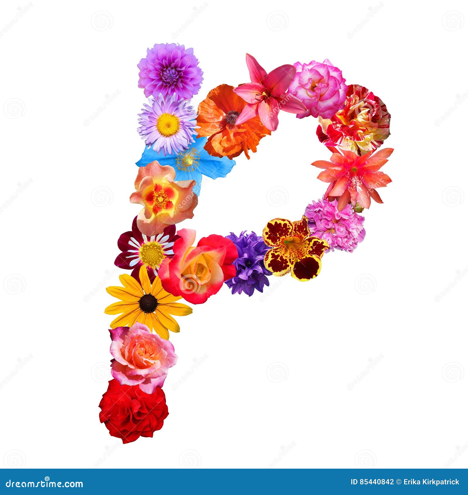 Letra P de las flores stock de ilustración. Ilustración de muchacha ...