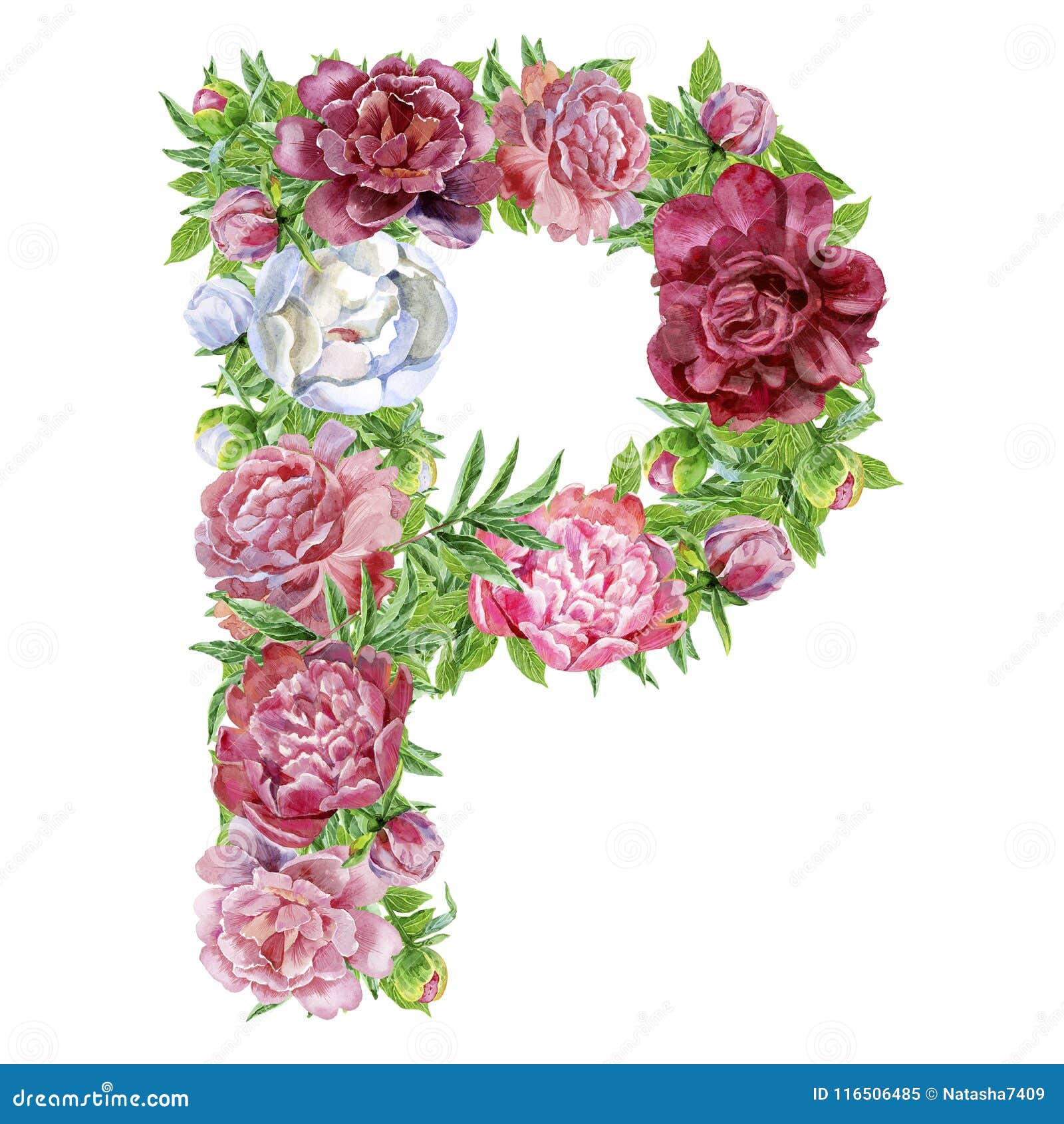 Letra P De Las Flores De La Acuarela Stock de ilustración - Ilustración ...