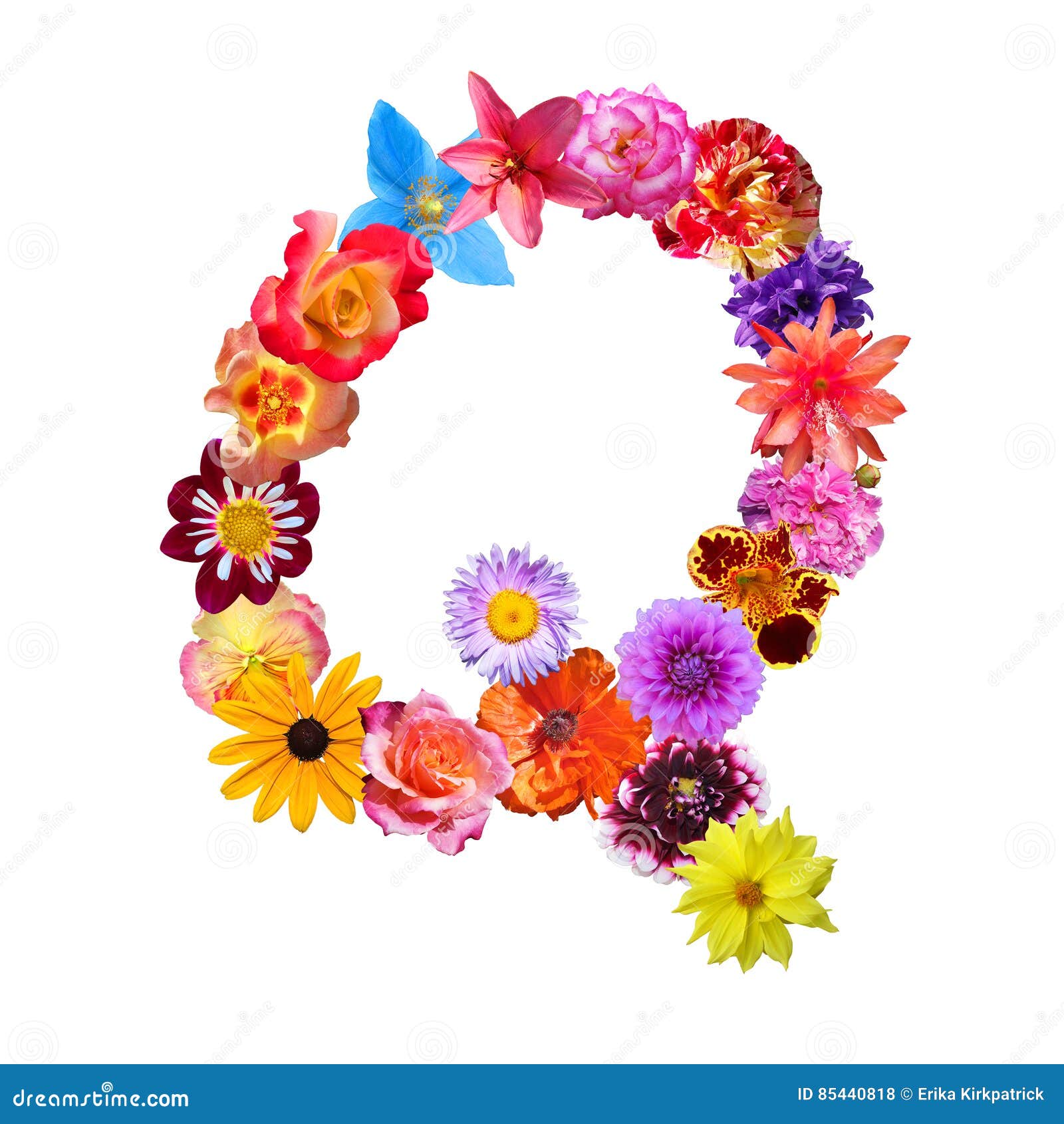 Letra Q de las flores stock de ilustración. Ilustración de amapola ...