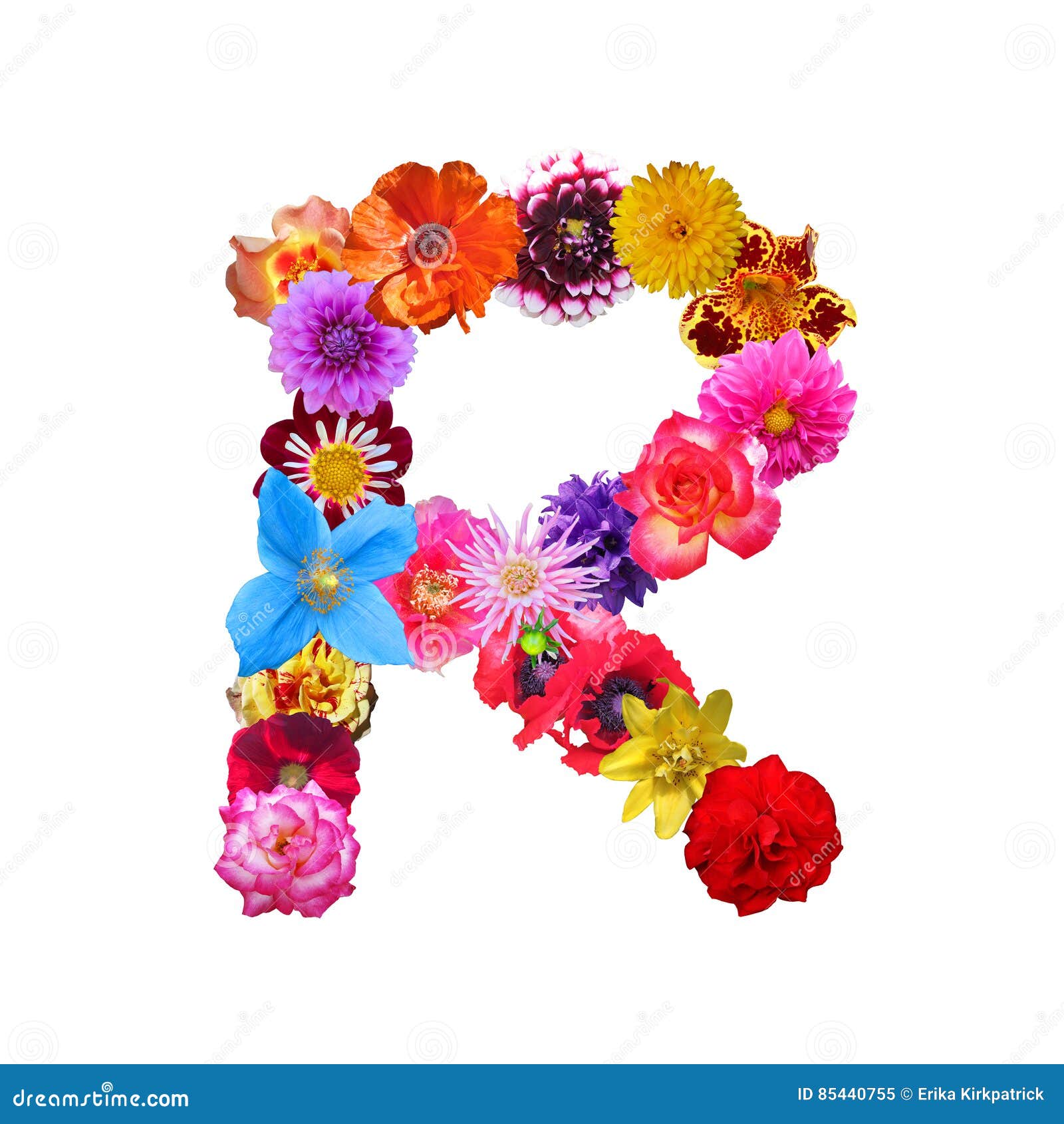 Letra R das flores ilustração stock. Ilustração de papoila - 85440755