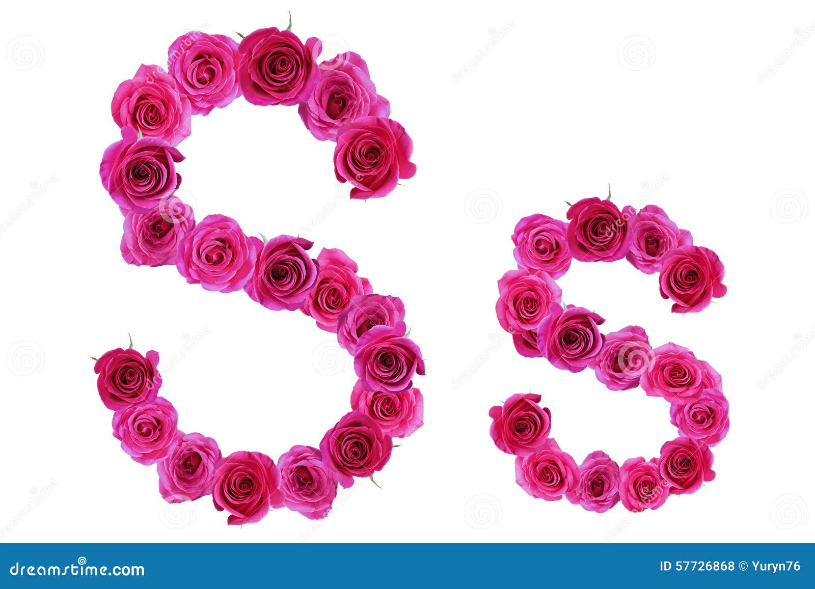 Letra s de rosas foto de archivo. Imagen de rosa, alfabeto - 57726868