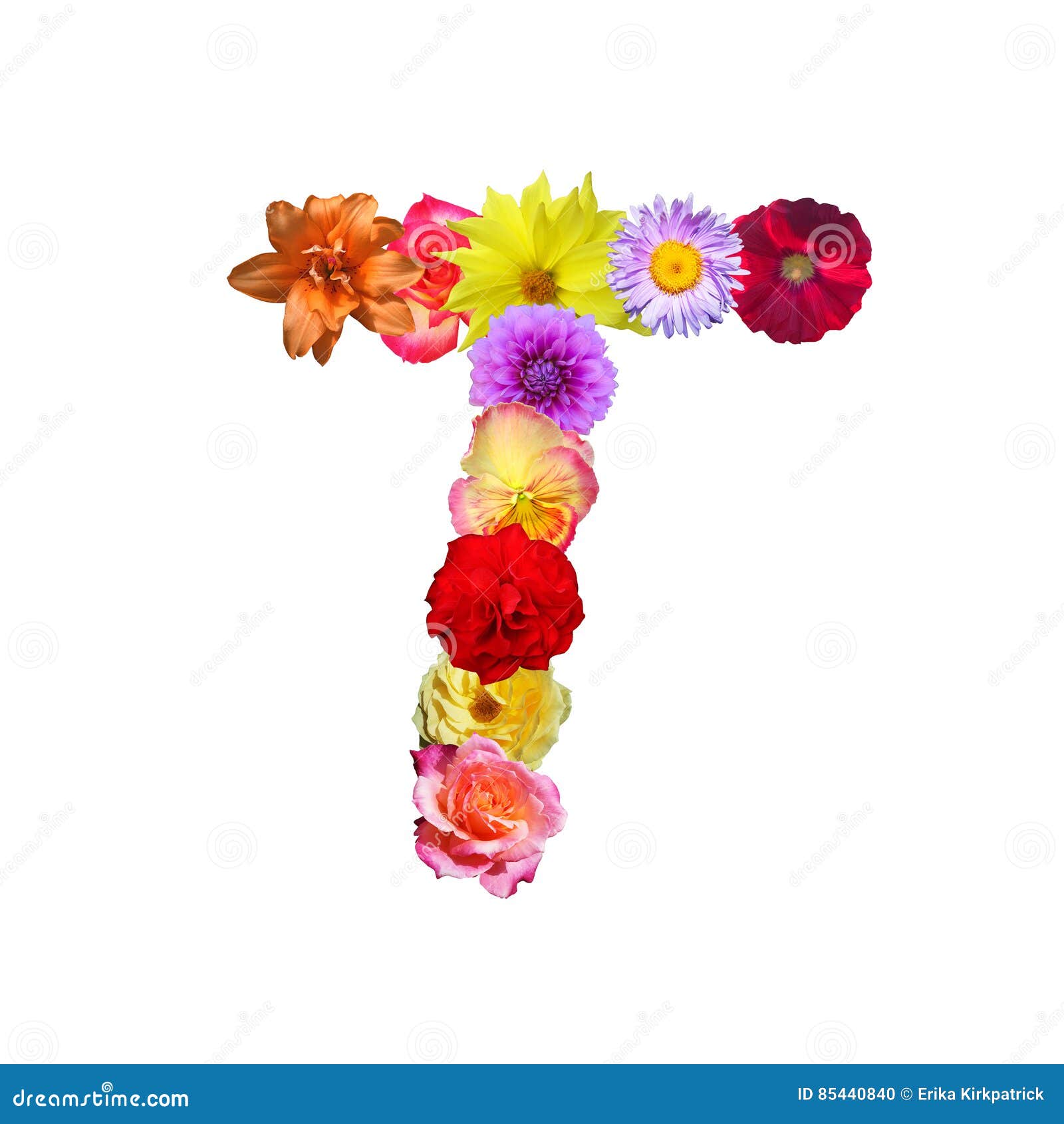 Letra T de las flores stock de ilustración. Ilustración de rosa - 85440840