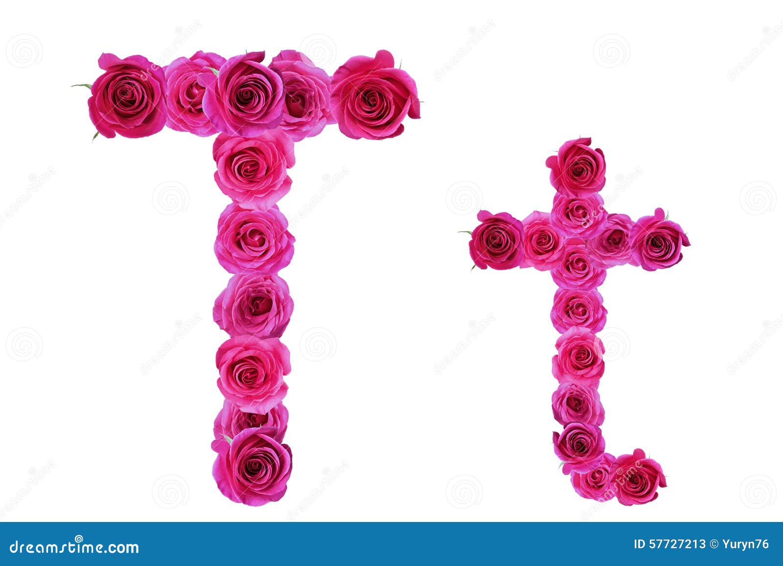 Letra t de rosas imagen de archivo. Imagen de texto, estilo - 57727213