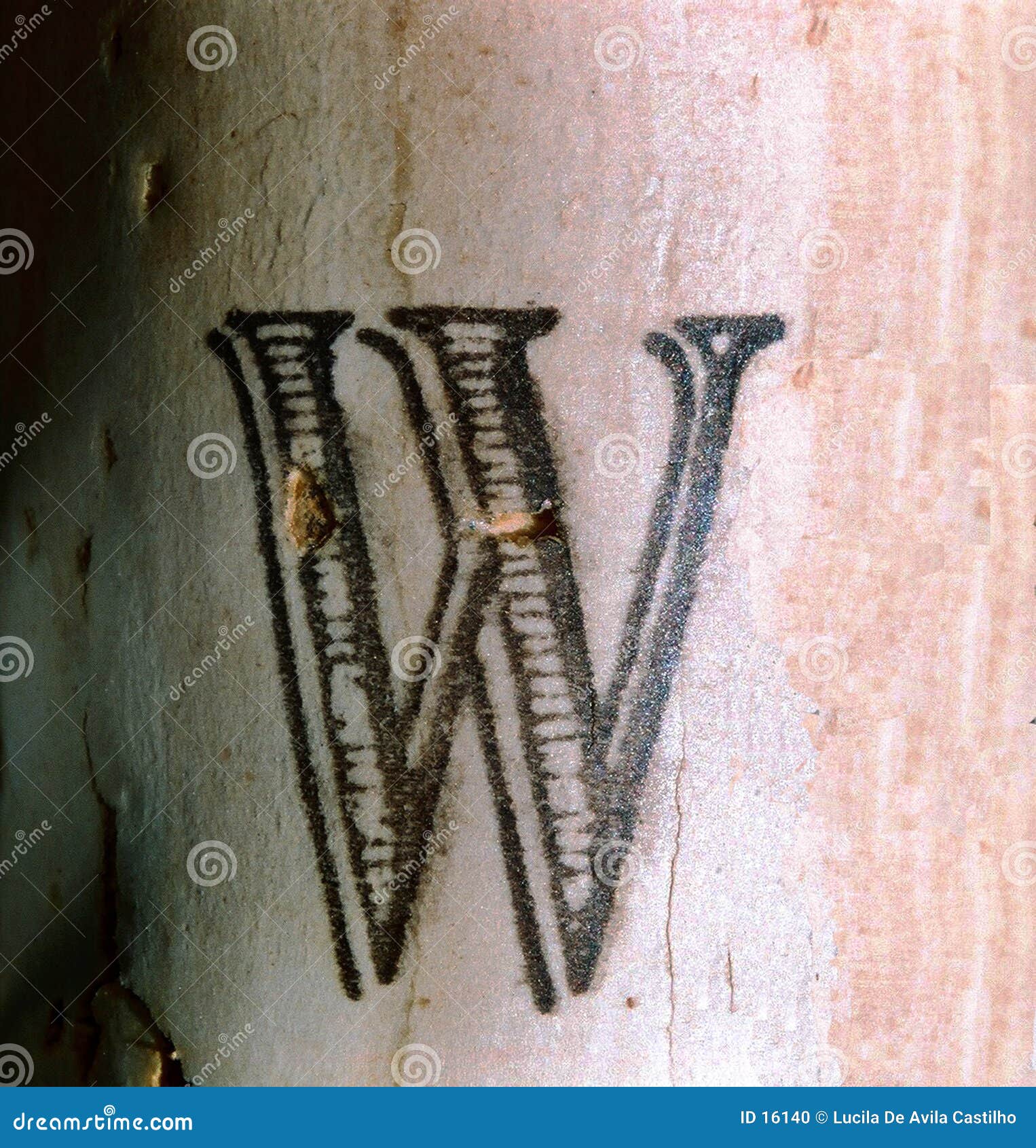 Letra W foto de archivo. Imagen de textura, corcho, vino - 16140