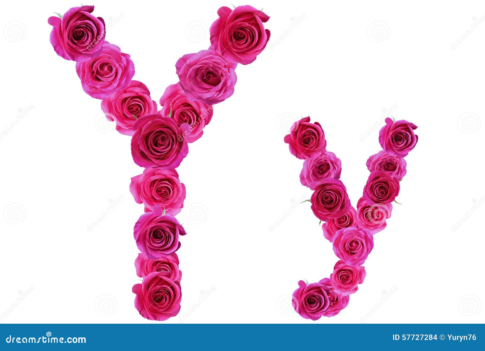 Letra y de rosas foto de archivo. Imagen de conjunto - 57727284