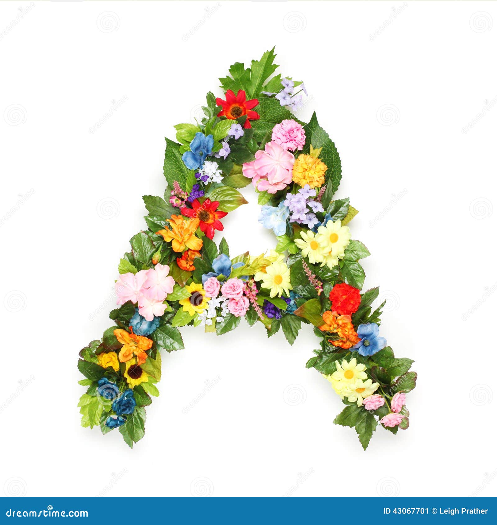 Letras Das Folhas E Das Flores Imagem de Stock - Imagem de verde, jogo ...