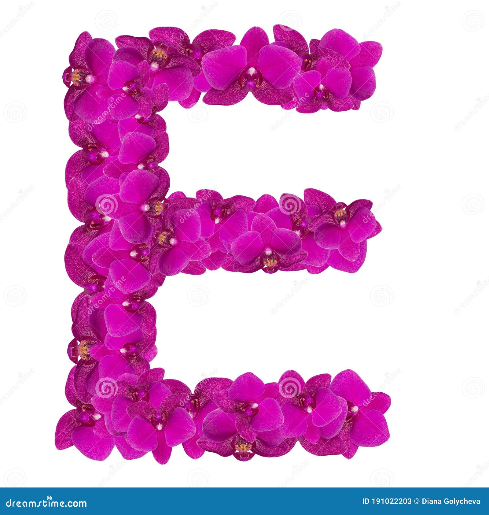 Letras De Flores Rosas. Alfabeto De Flor De Letra E Imagen de archivo ... Letras De Flores Rosas. Alfabeto De Flor De Letra E Imagen de archivo ...
